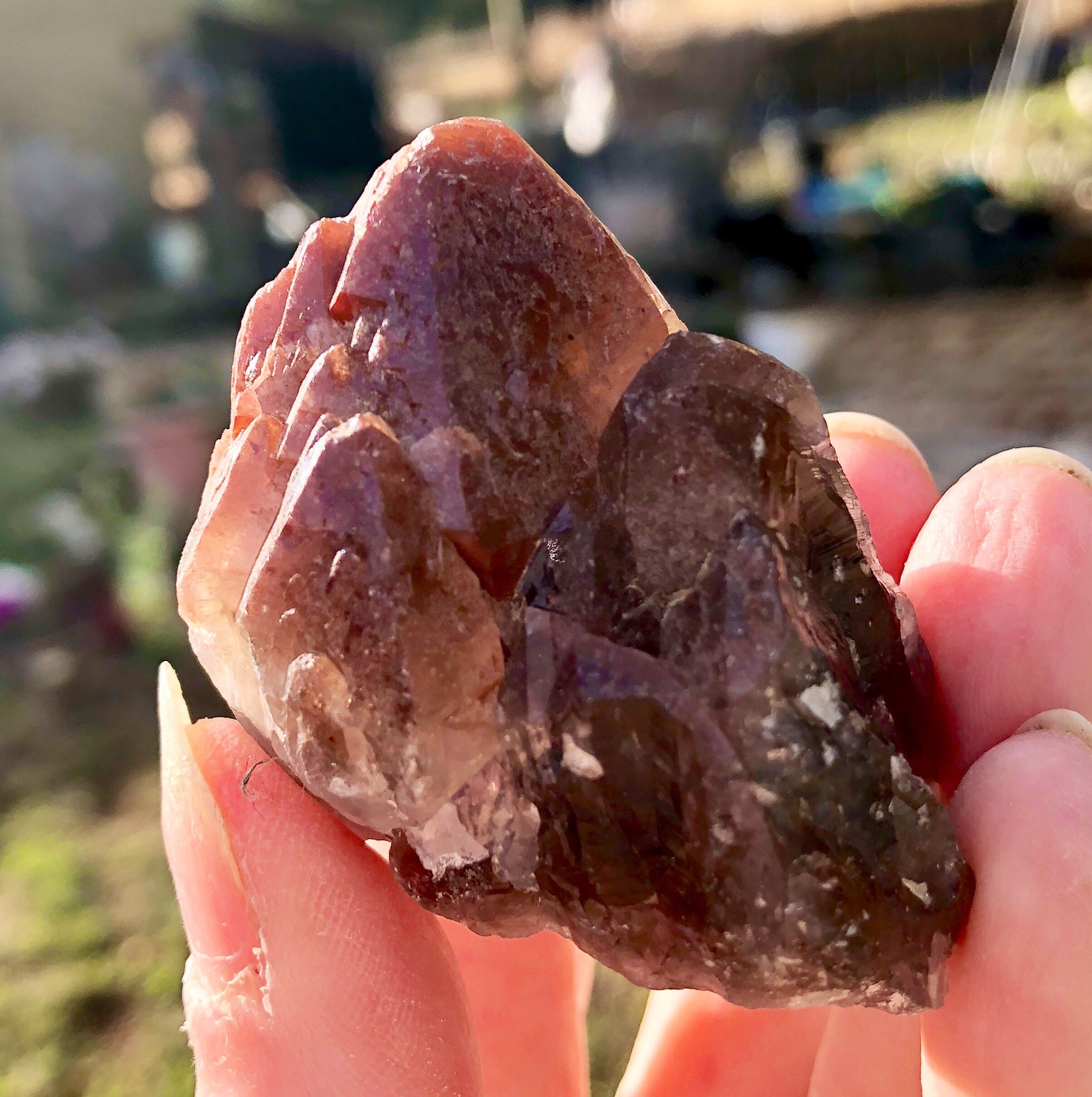 Auralite 23 Crystal Cluster Specimen