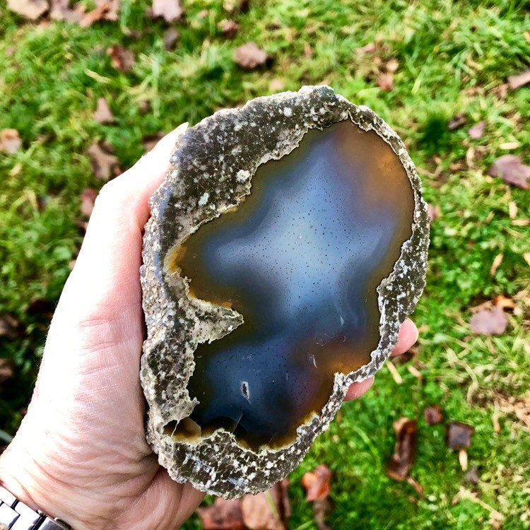 Large Oregon Thunder Egg Half polished for display or Home Decor