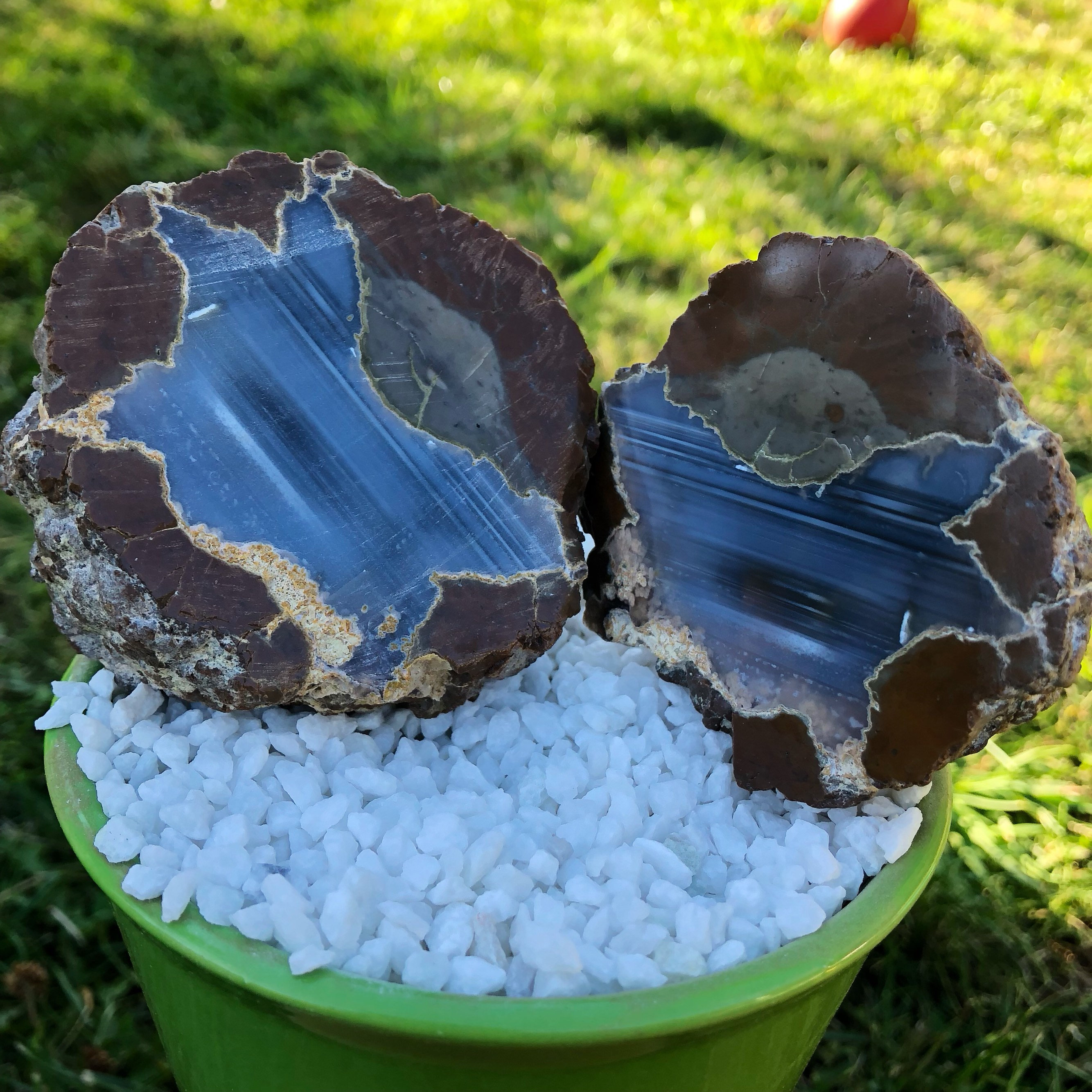 Thunder Egg cut in half and polished from Richardsons Ranch in Oregon