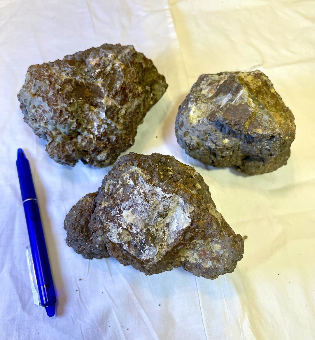 Thunder Eggs Uncut From Oregon Set of 3 - Etsy