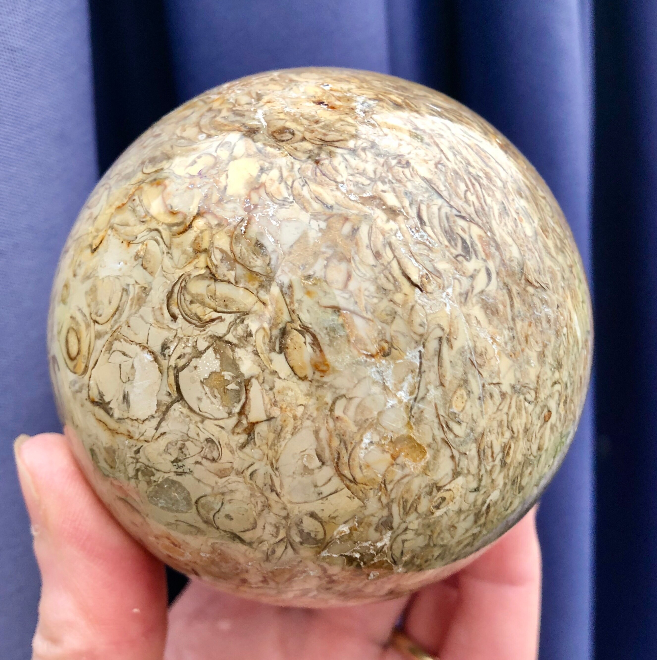 79mm Fossil Stone Jasper Sphere Orb Ball Mineral Display Specimen