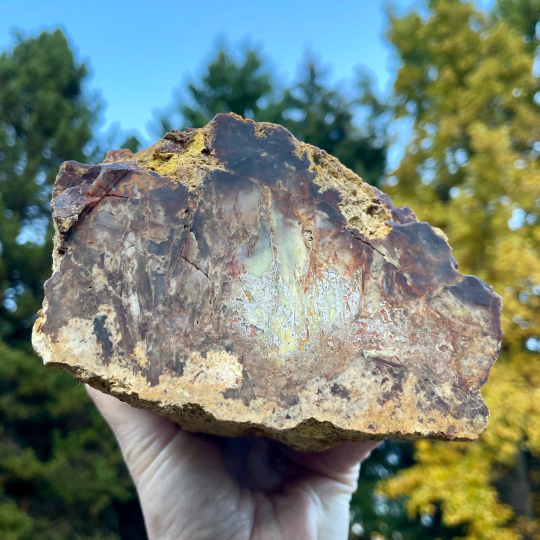 4.53 Lb Oregon Picture Jasper Rough Lapidary Mineral Specimen - Etsy