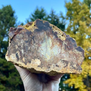 4.53 Lb Oregon Picture Jasper Rough Lapidary Mineral Specimen - Etsy