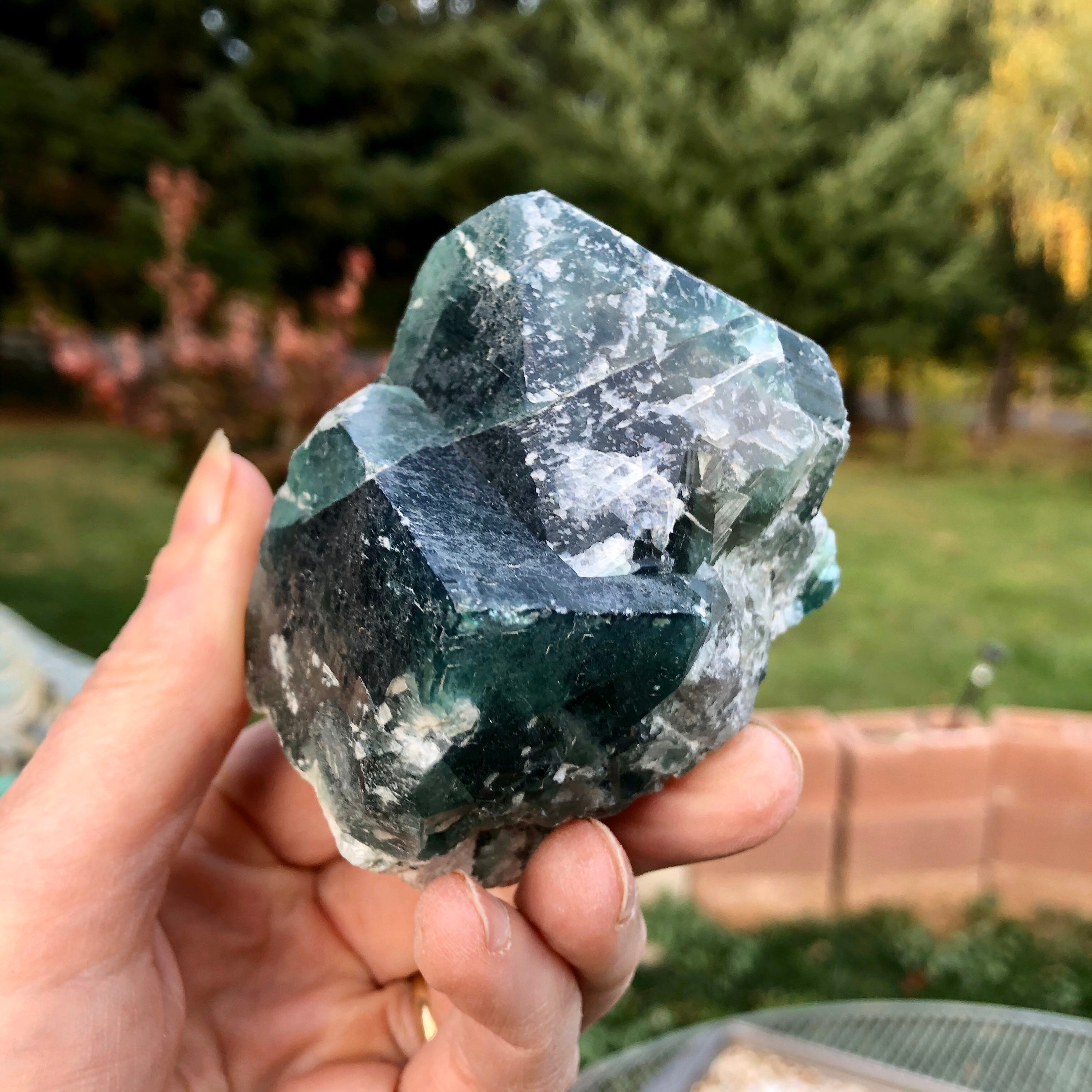 Green Cubic Fluorite Crystal Cluster Specimen