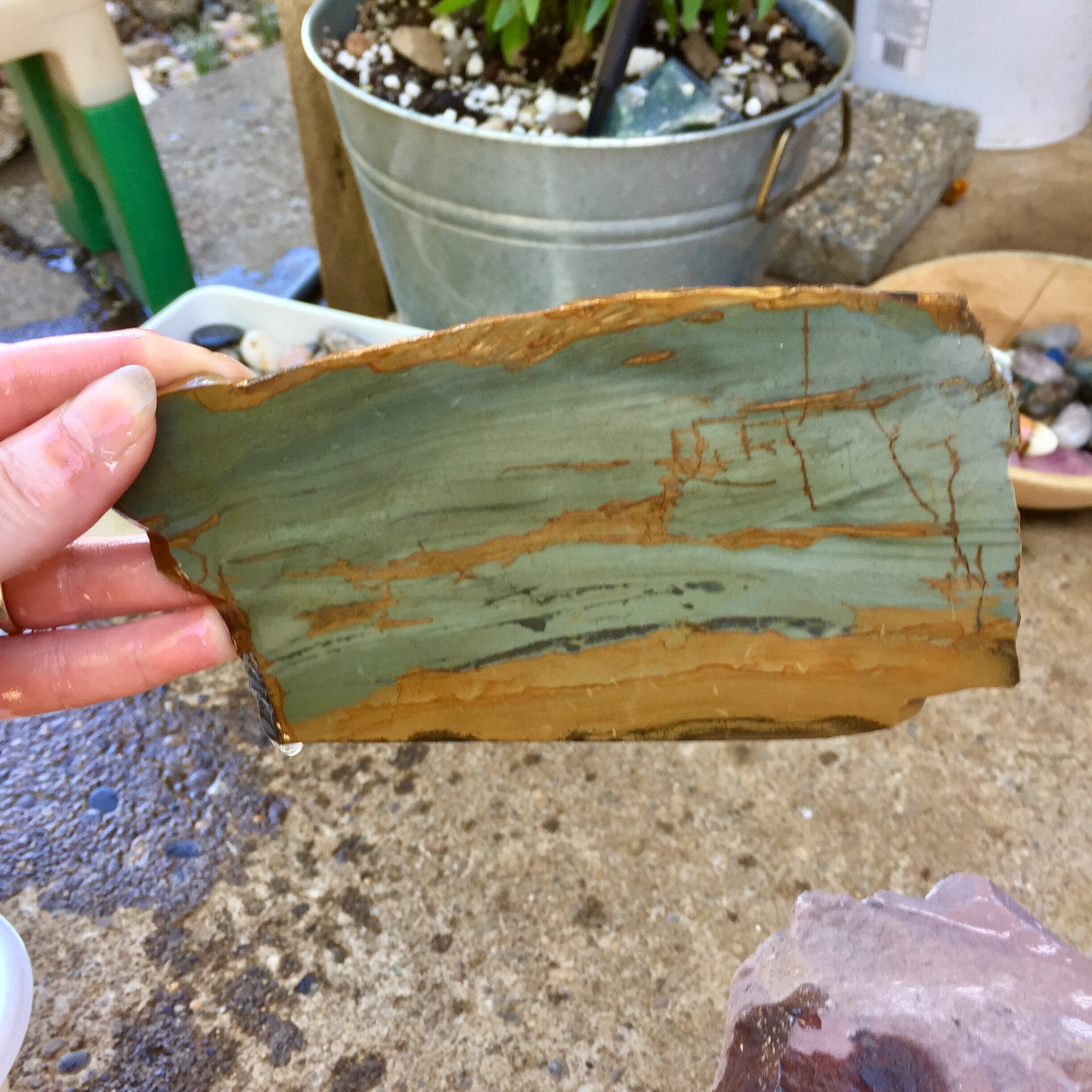 Blue Mountain Jasper slab unpolished for lapidary cutting