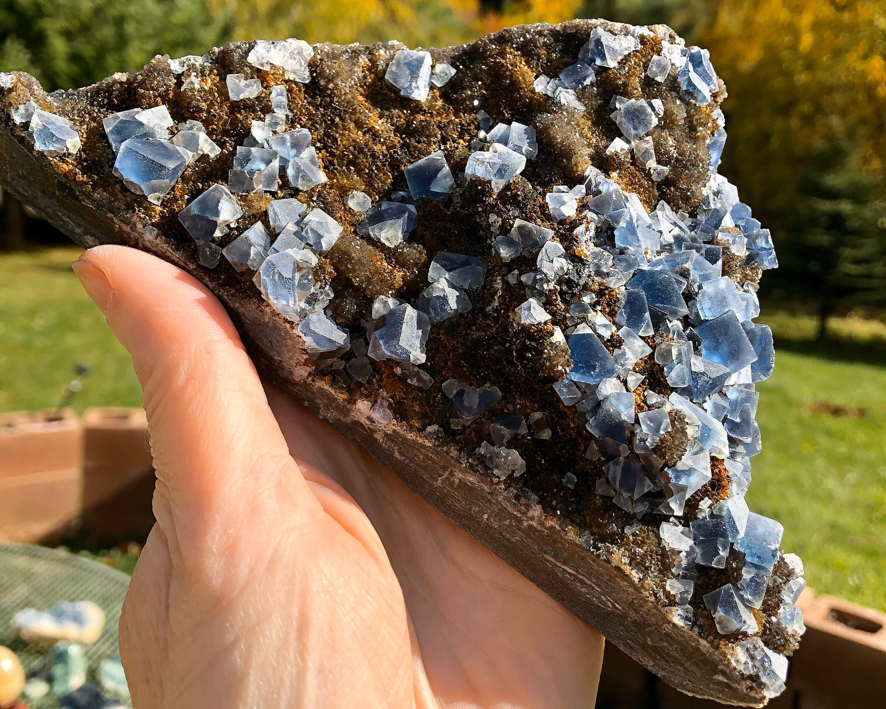632g Blue Cubic Fluorite on Druzy Smoky Quartz Crystal Cluster Specimen