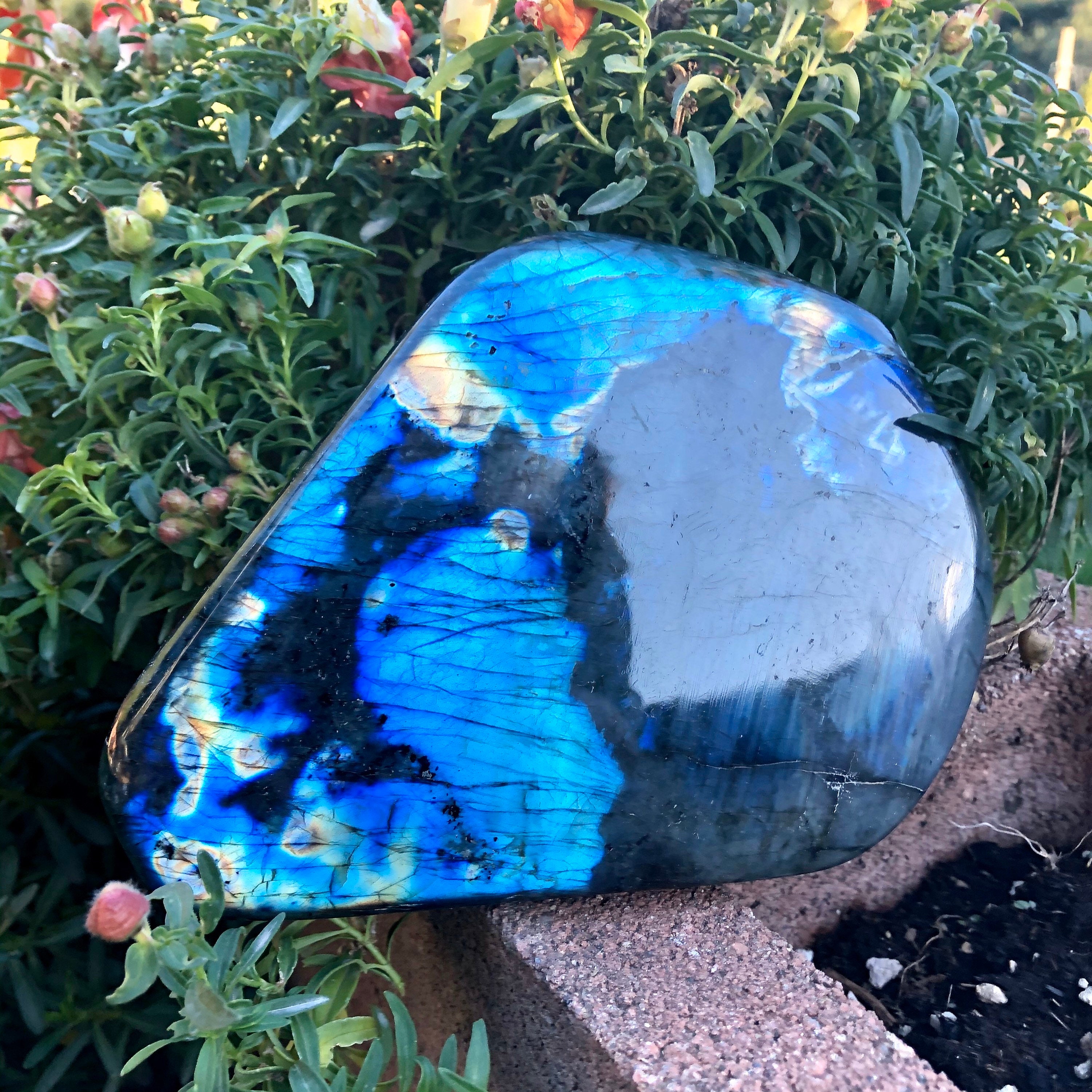 1362g Blue Flash Labradorite Spectralite Standing Polished Freeform ...