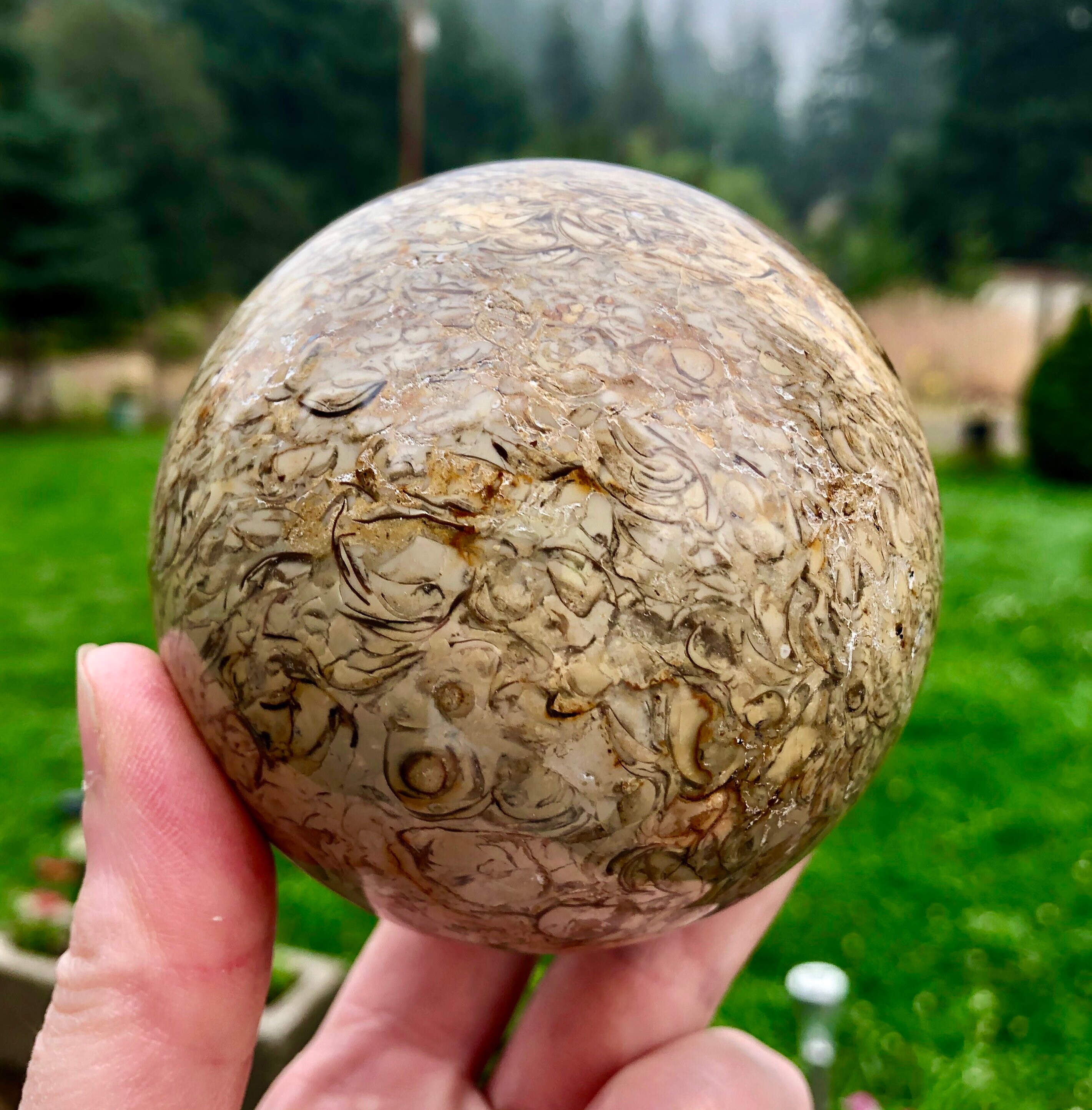 79mm Fossil Stone Jasper Sphere Orb Ball Mineral Display Specimen