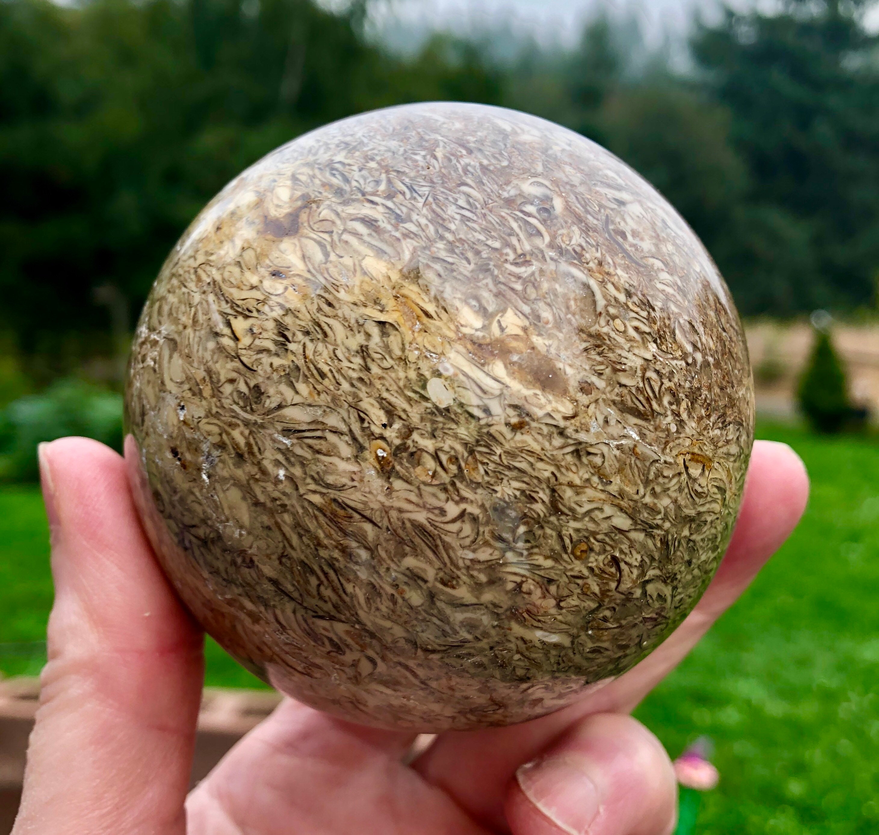 79mm Fossil Stone Jasper Sphere Orb Ball Mineral Display Specimen