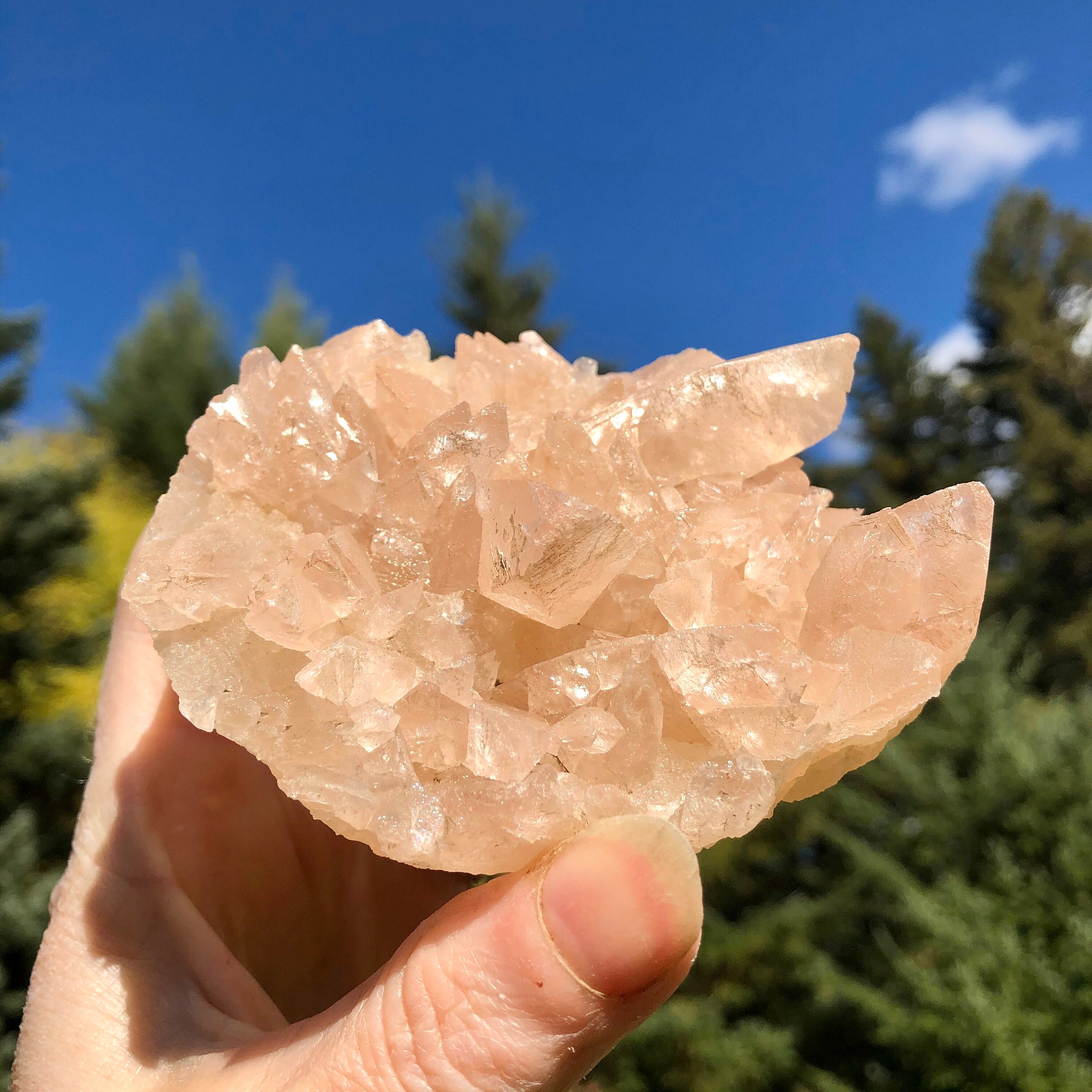 Pale Pink Dogtooth Calcite Fluorescent Crystal Cluster Specimen