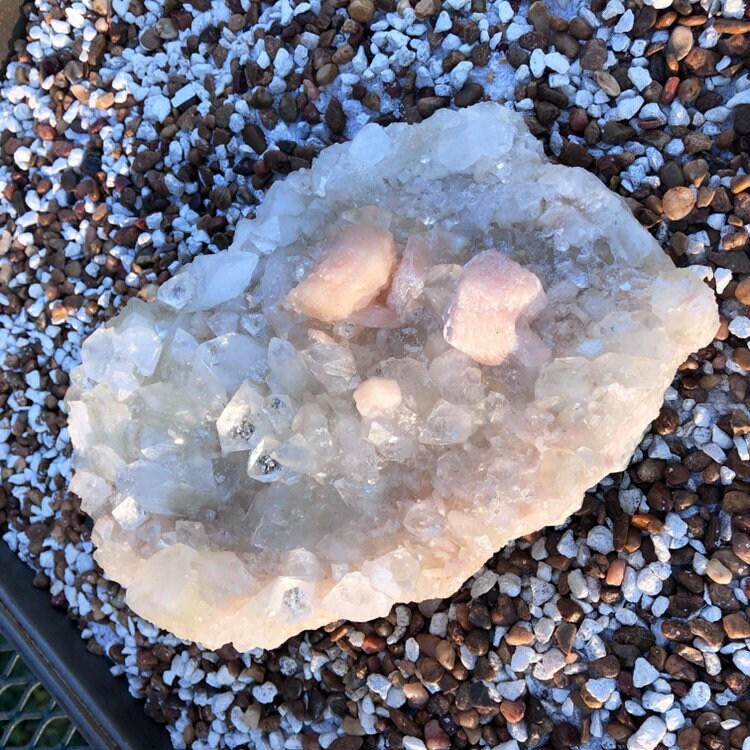 ON RESERVE Large Apophyllite Cluster with Peach Stilbite Flowers