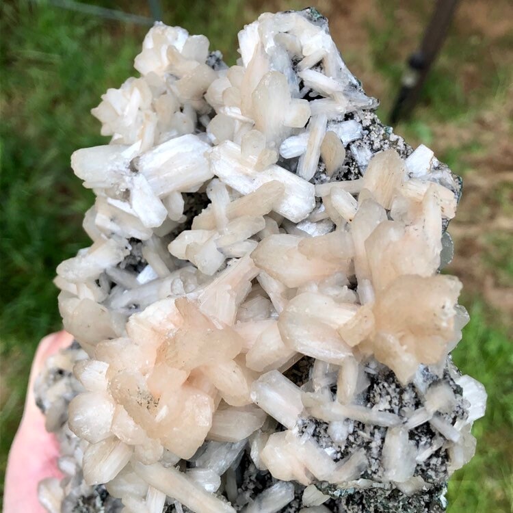 Large Stilbite Cluster with cubic Apophyllite in matrix