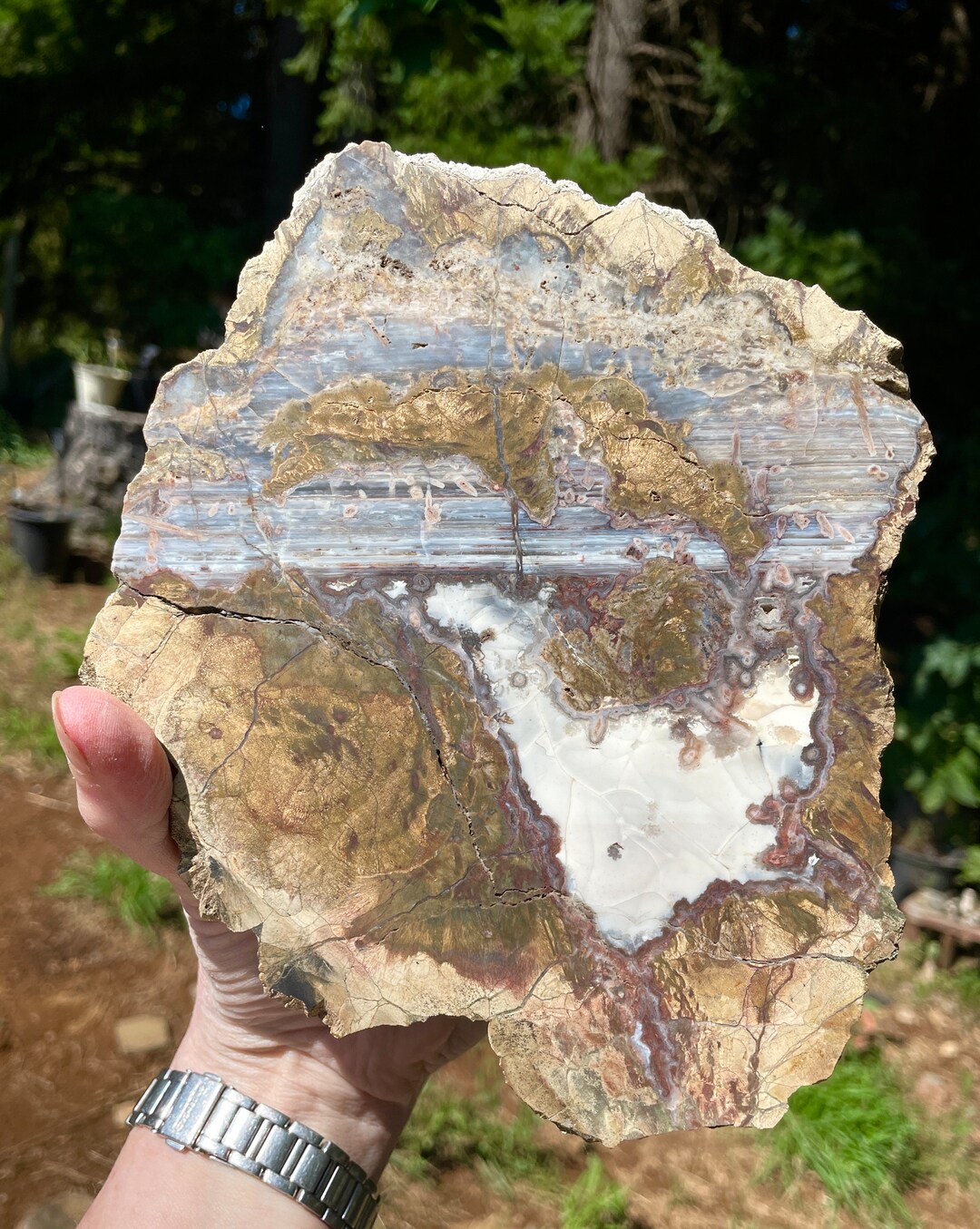 3.77 Lb Dugway Geode Thunder Egg Mineral Display Specimen End Cut - Etsy