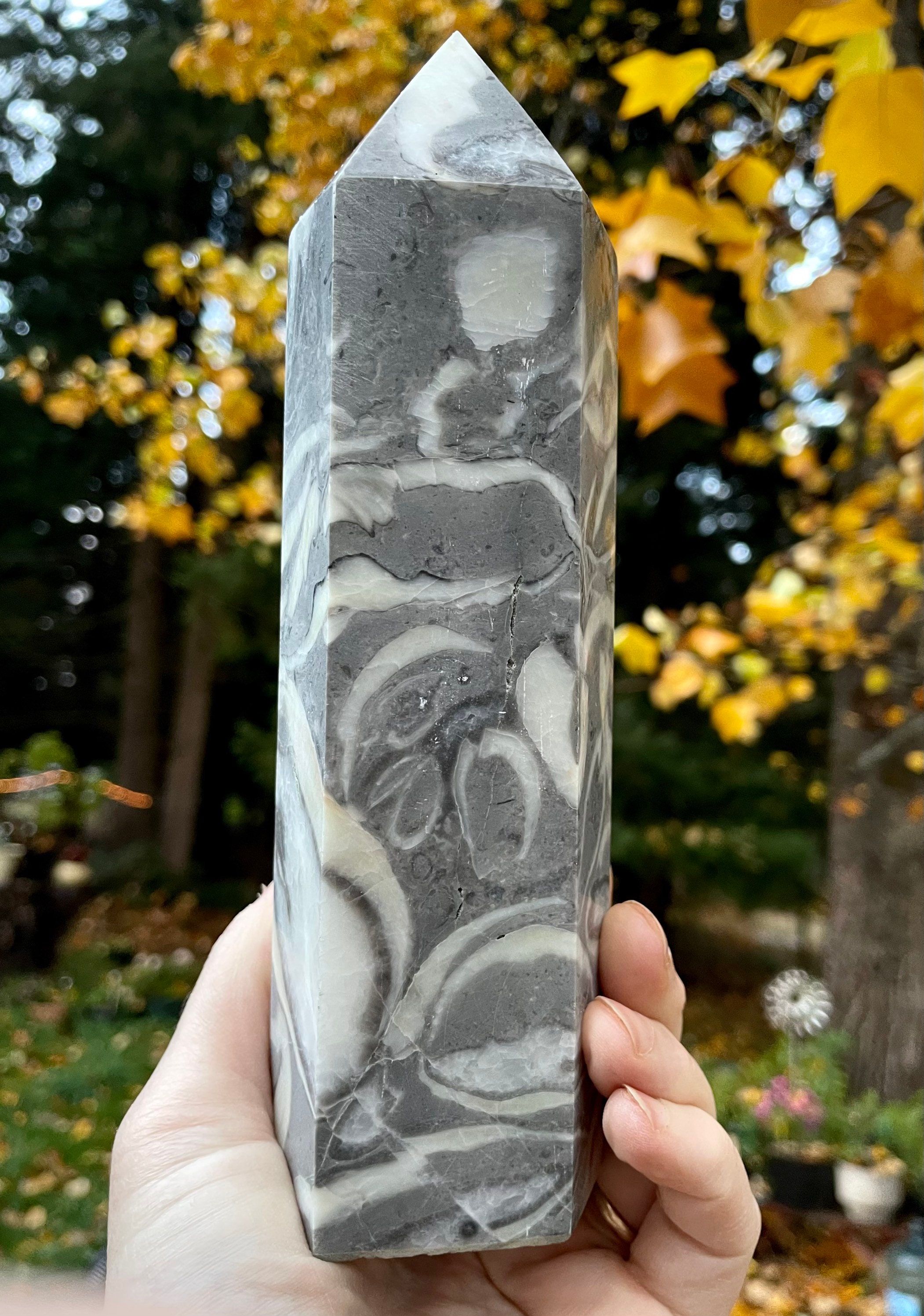 2.22 lb Thousand Eyes Stone or Fossil Shellstone Jasper Obelisk Pillar ...
