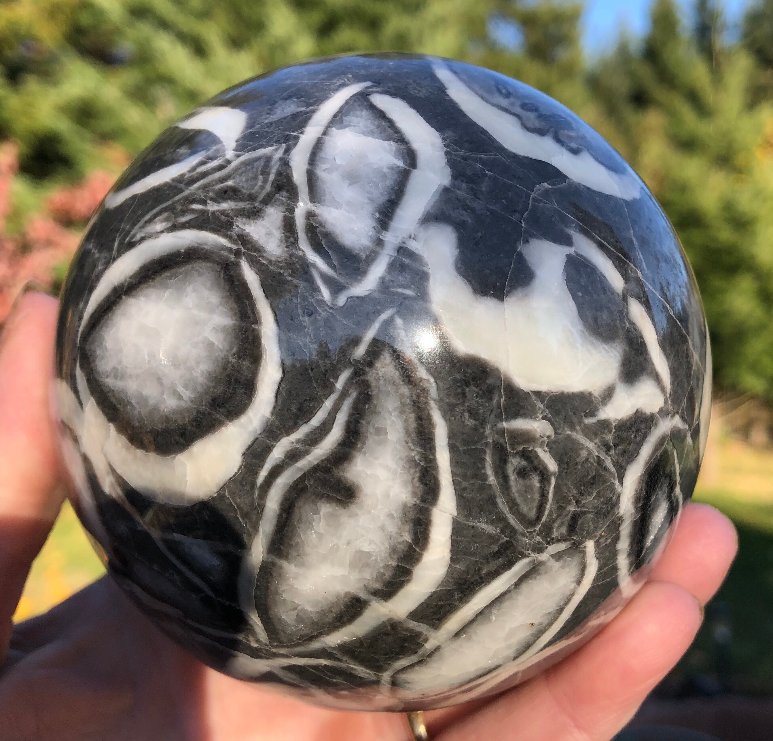 92mm Thousand Eyes Stone aka Fossil Shellstone Jasper Sphere Orb Ball