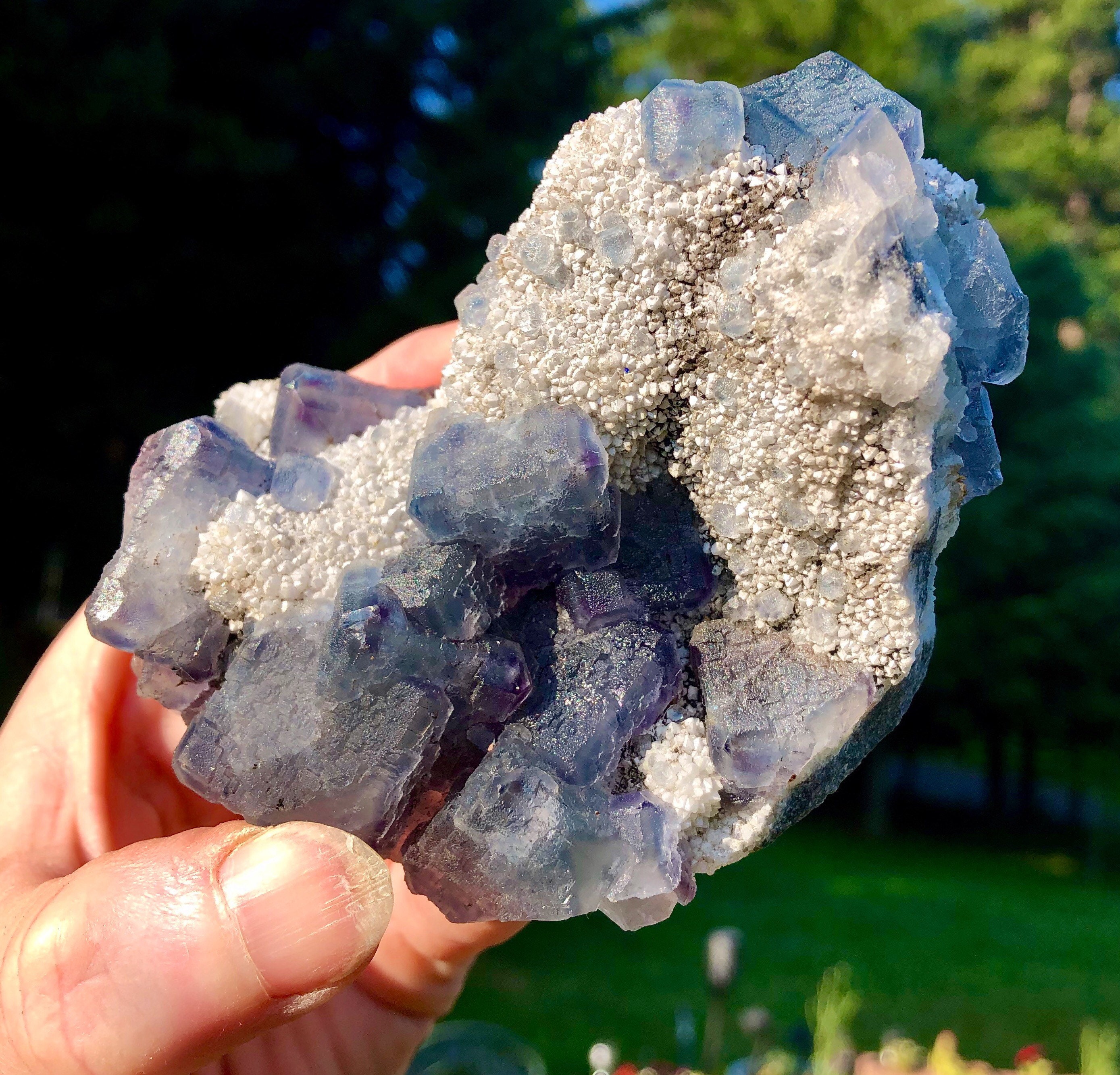 324g Blue Cubic Fluorite On White Dolomite Crystal Cluster Mineral ...