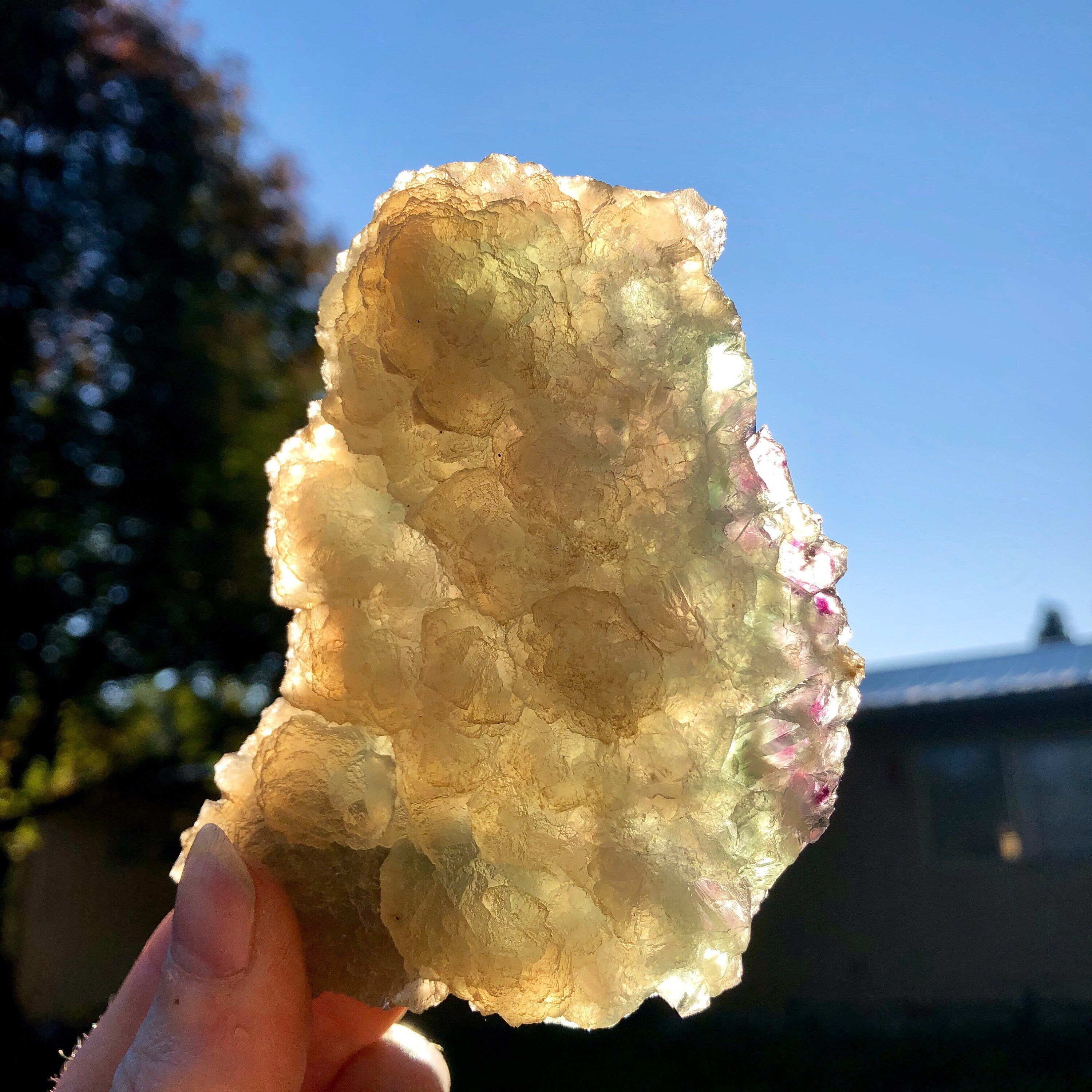 Double sided Phantom Fluorite Crystal Cluster Specimen Double sided Phantom Fluorite Crystal Cluster Specimen