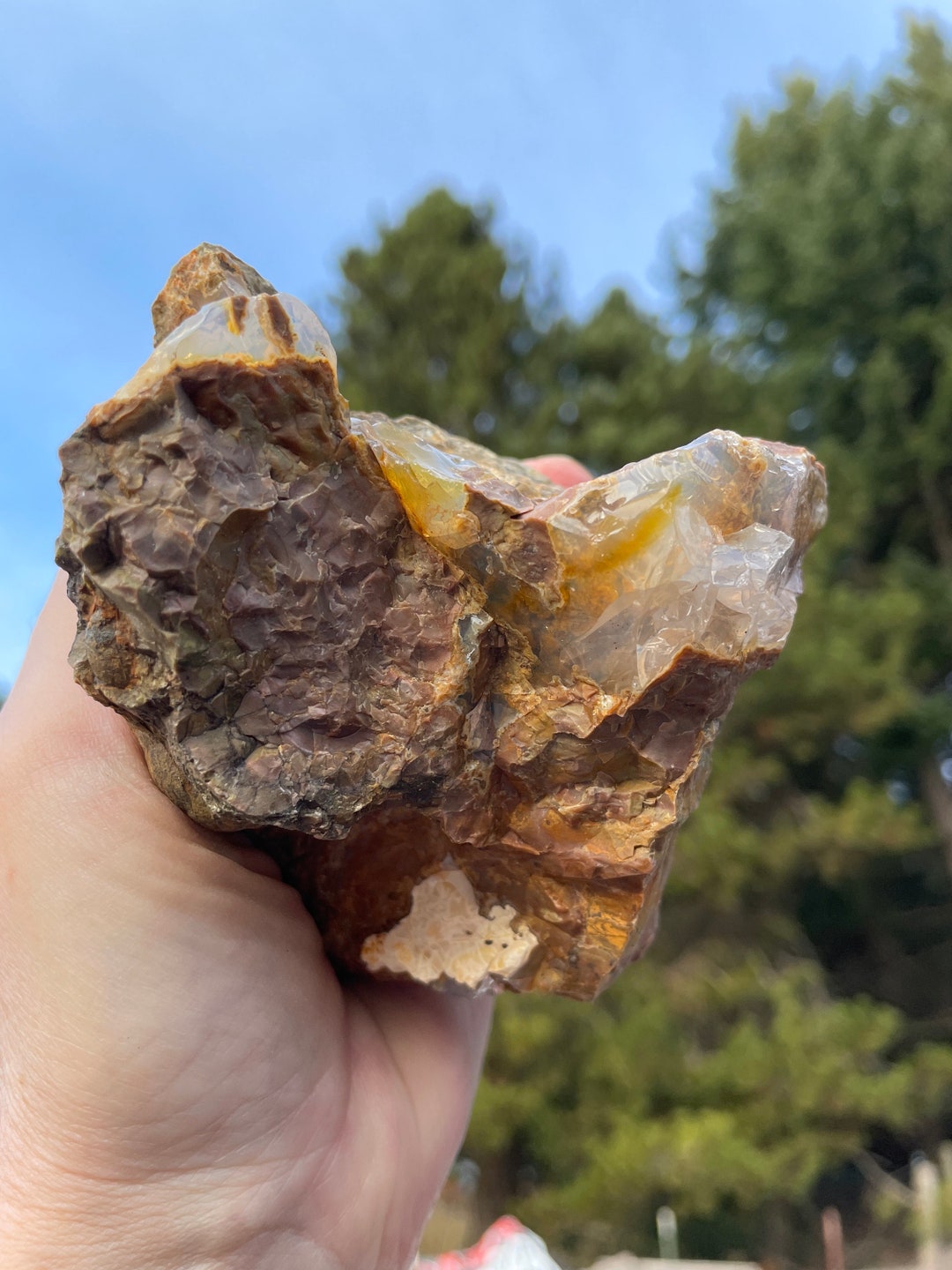 1.3 Lb Old Stock Oregon Opal on Rhyolite Jasper Mineral Display ...