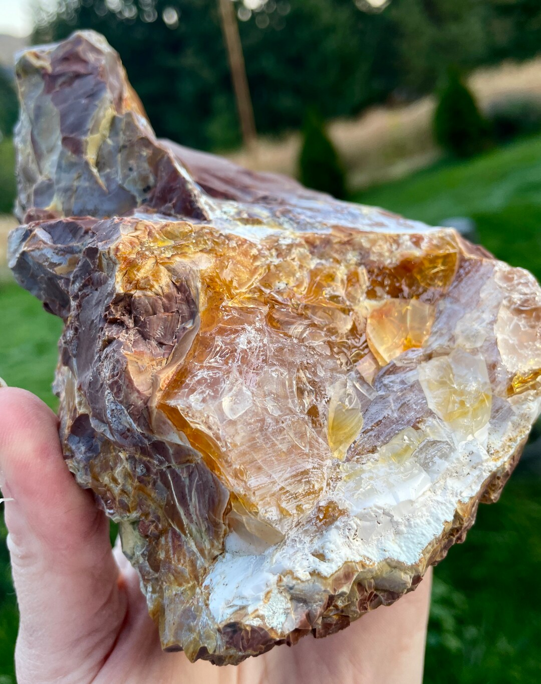 2.27 Lb Oregon Opal in Rhyolite Jasper Mineral Display Specimen - Etsy