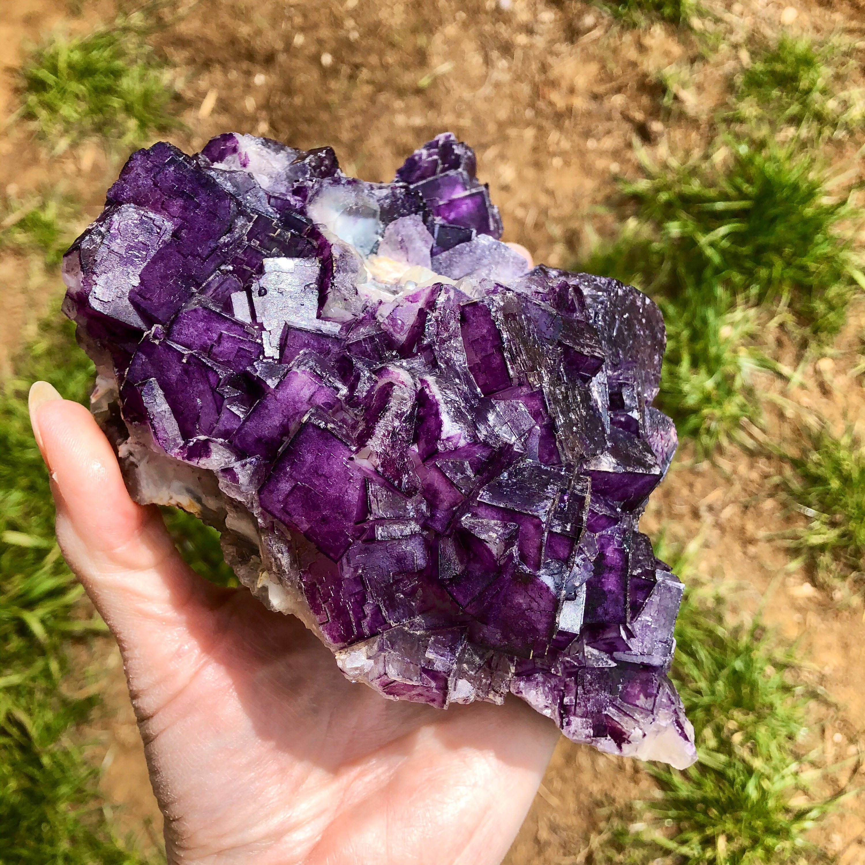 1394g Large Museum Quality Purple And Blue Cubic Fluorite Crystal ...