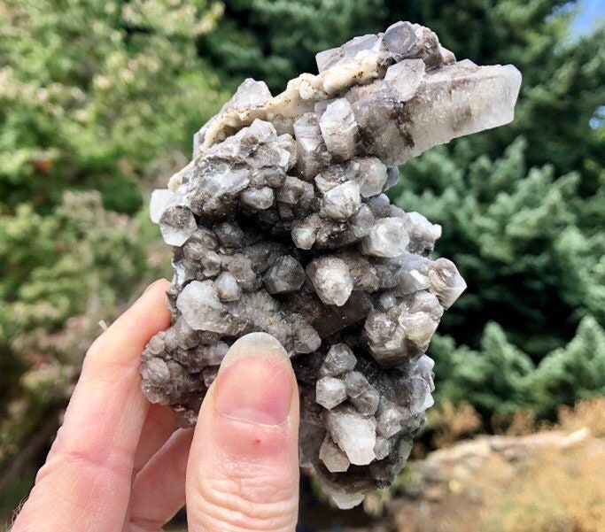 390g Black and white Columnar Hexagonal Calcite Crystal Cluster Mineral ...