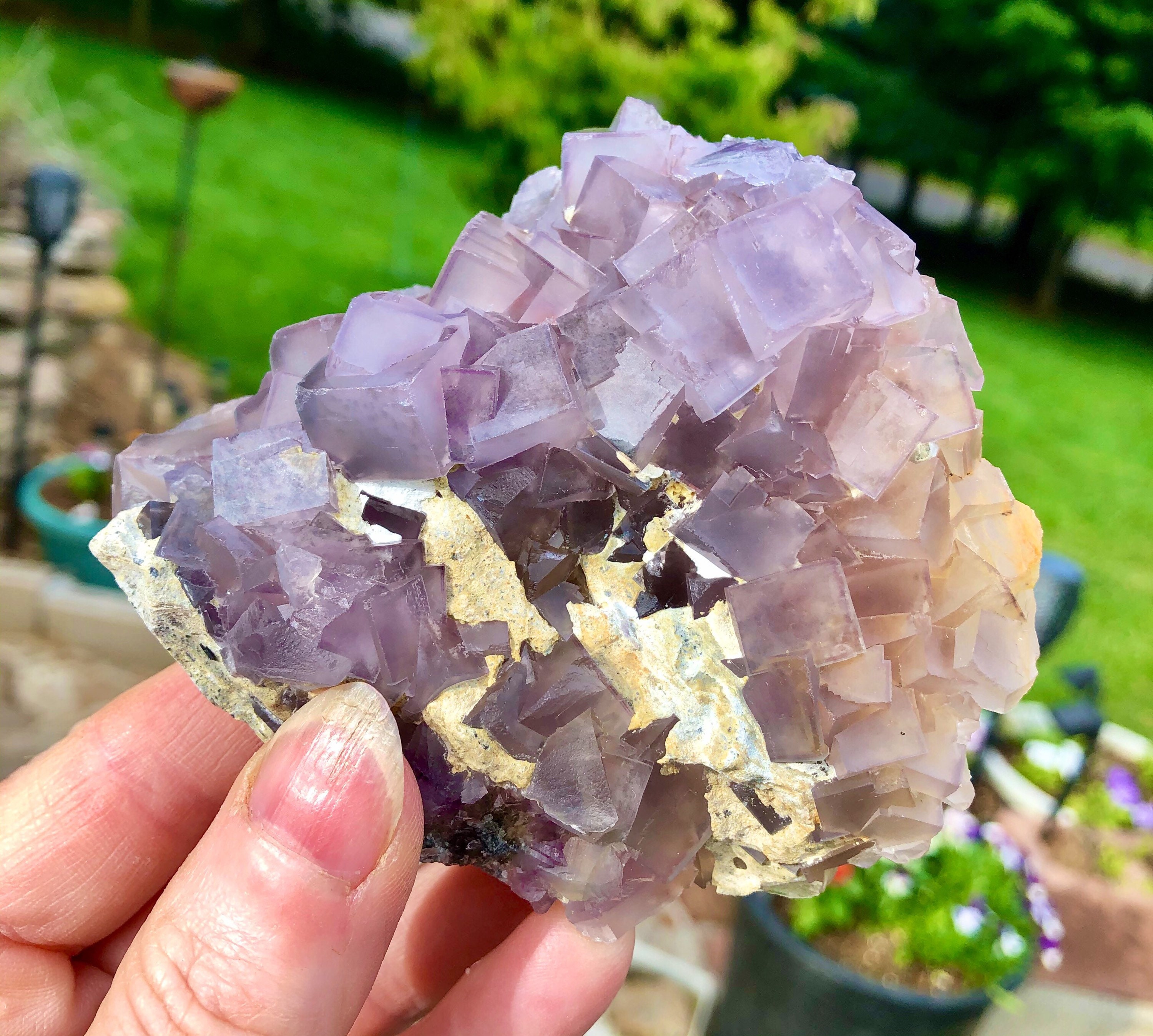 310g Purple Cubic Fluorite Crystal Cluster Mineral Display Specimen