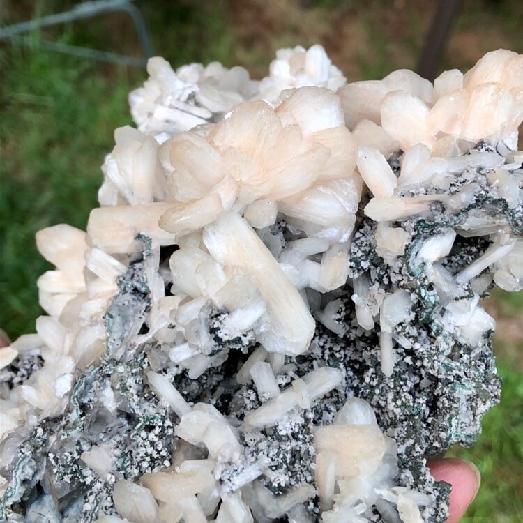Large Stilbite Cluster with cubic Apophyllite in matrix
