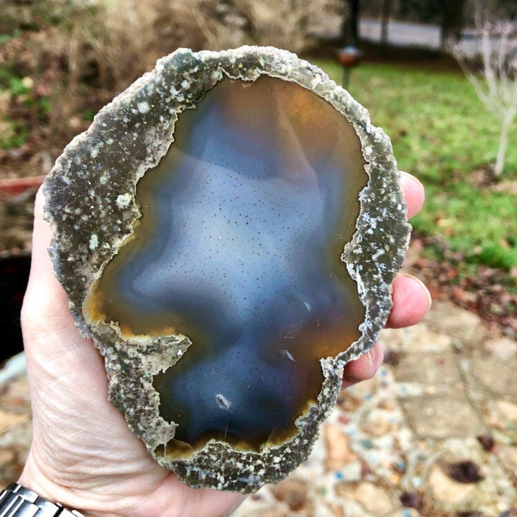 Large Oregon Thunder Egg Half polished for display or Home Decor