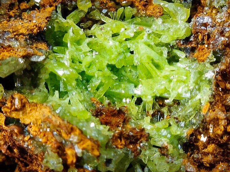 186g Pyromorphite Crystal Cluster Specimen on Matrix