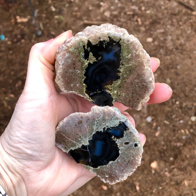 Dark blue Agate centered Oregon Thunder Egg from Richardsons Rock Ranch