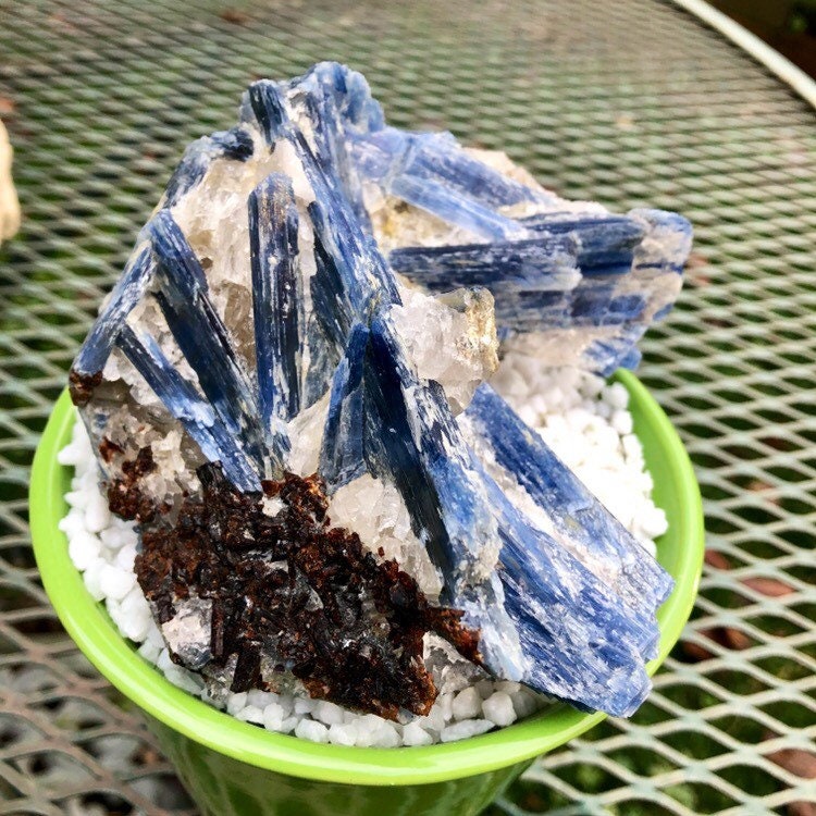 Large Blue and White Kyanite Crystal Cluster with Red Almandine Garnet