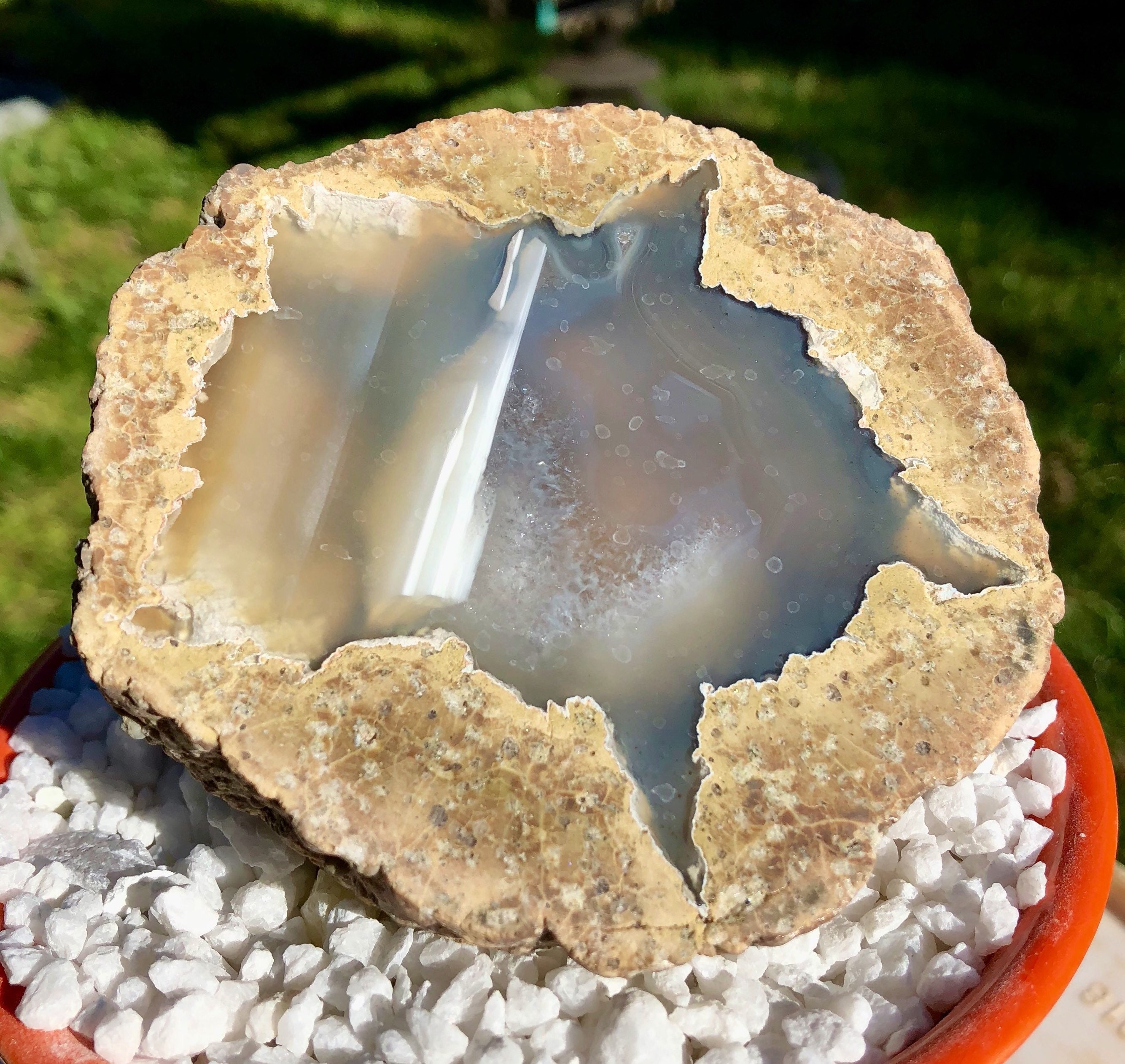 Thunder Egg half from Eastern Oregon