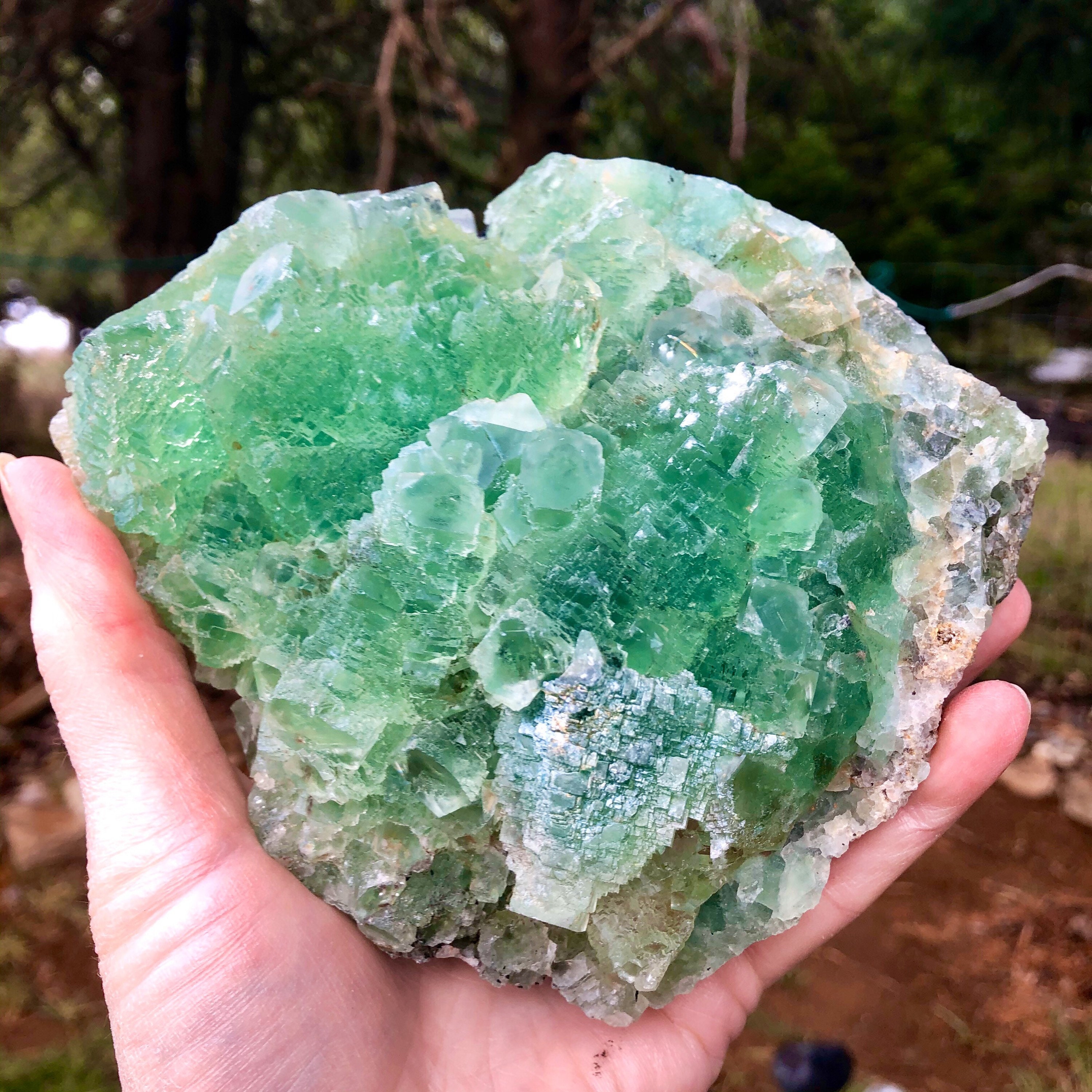 1596g Large Lime Green Cubic Octagonal Fluorite Crystal Cluster Mineral ...