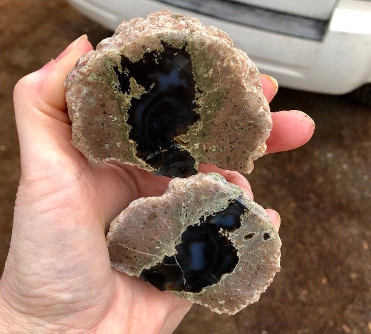 Dark blue Agate centered Oregon Thunder Egg from Richardsons Rock Ranch