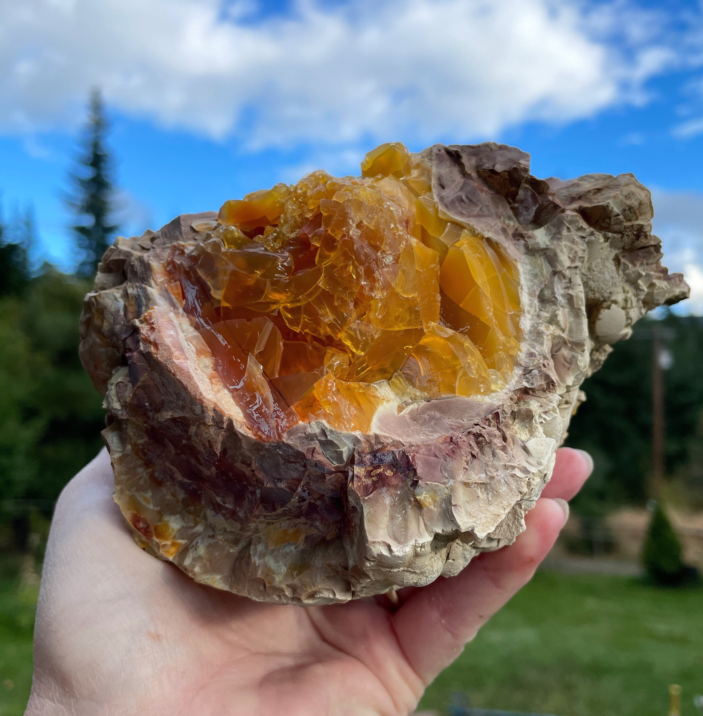 3.29 lb Oregon Opal in Rhyolite Jasper Mineral Display Specimen