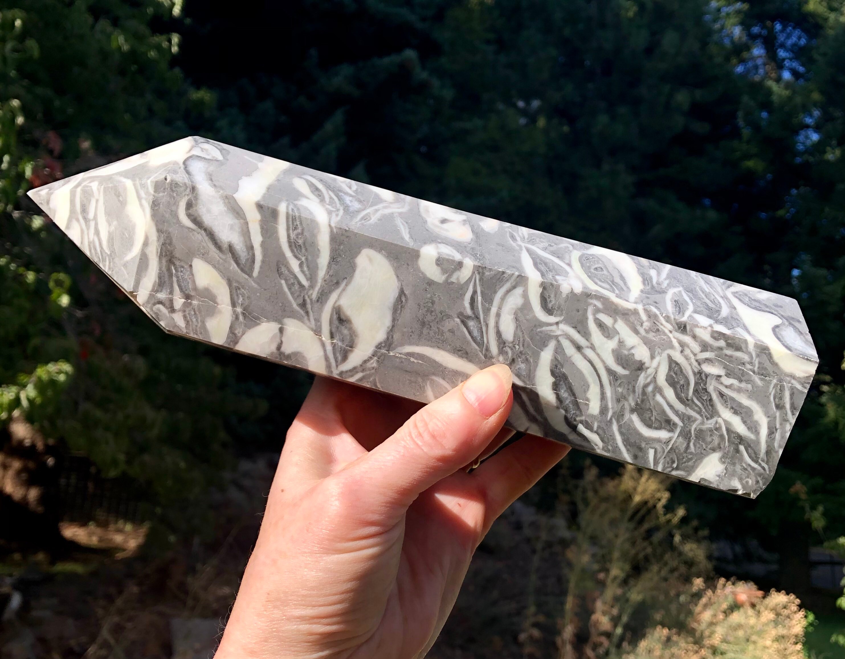 4.35 lb Thousand Eyes Stone aka Shellstone Jasper Obelisk Pillar Tower Point Wand Column Generator