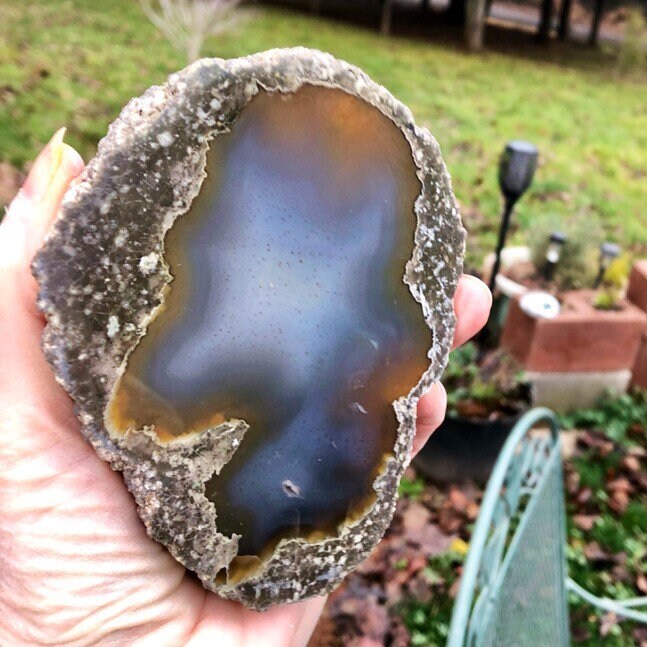 Large Oregon Thunder Egg Half polished for display or Home Decor