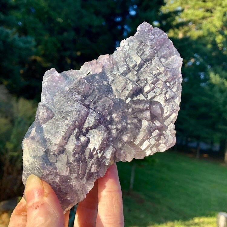 492g Blue and Purple Ladder Type Fluorite Crystal Cluster Mineral Specimen