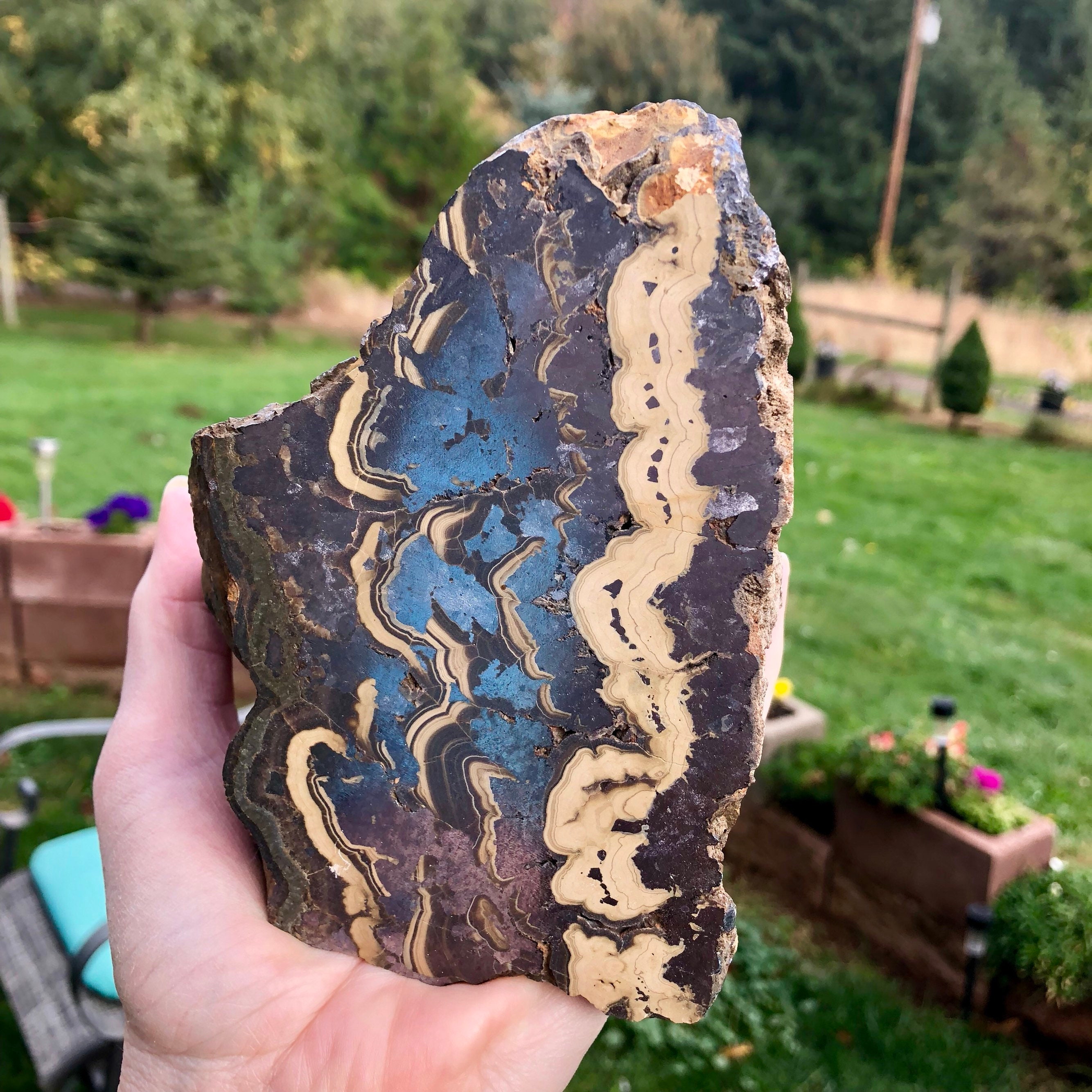 Large Lead Galena cut and polished standing specimen