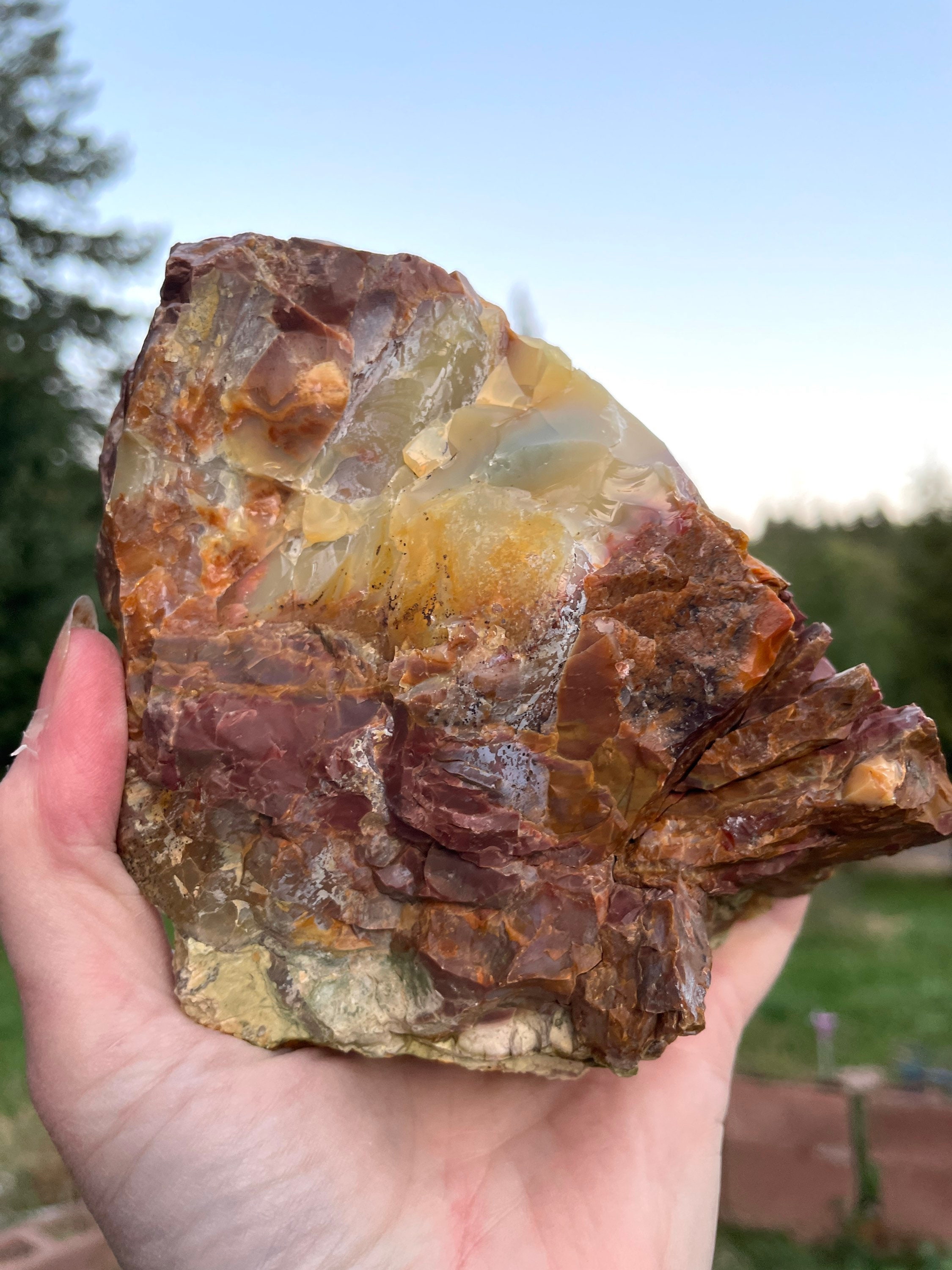 2.35 lb Oregon Opal on Rhyolite Jasper Mineral Display Specimen