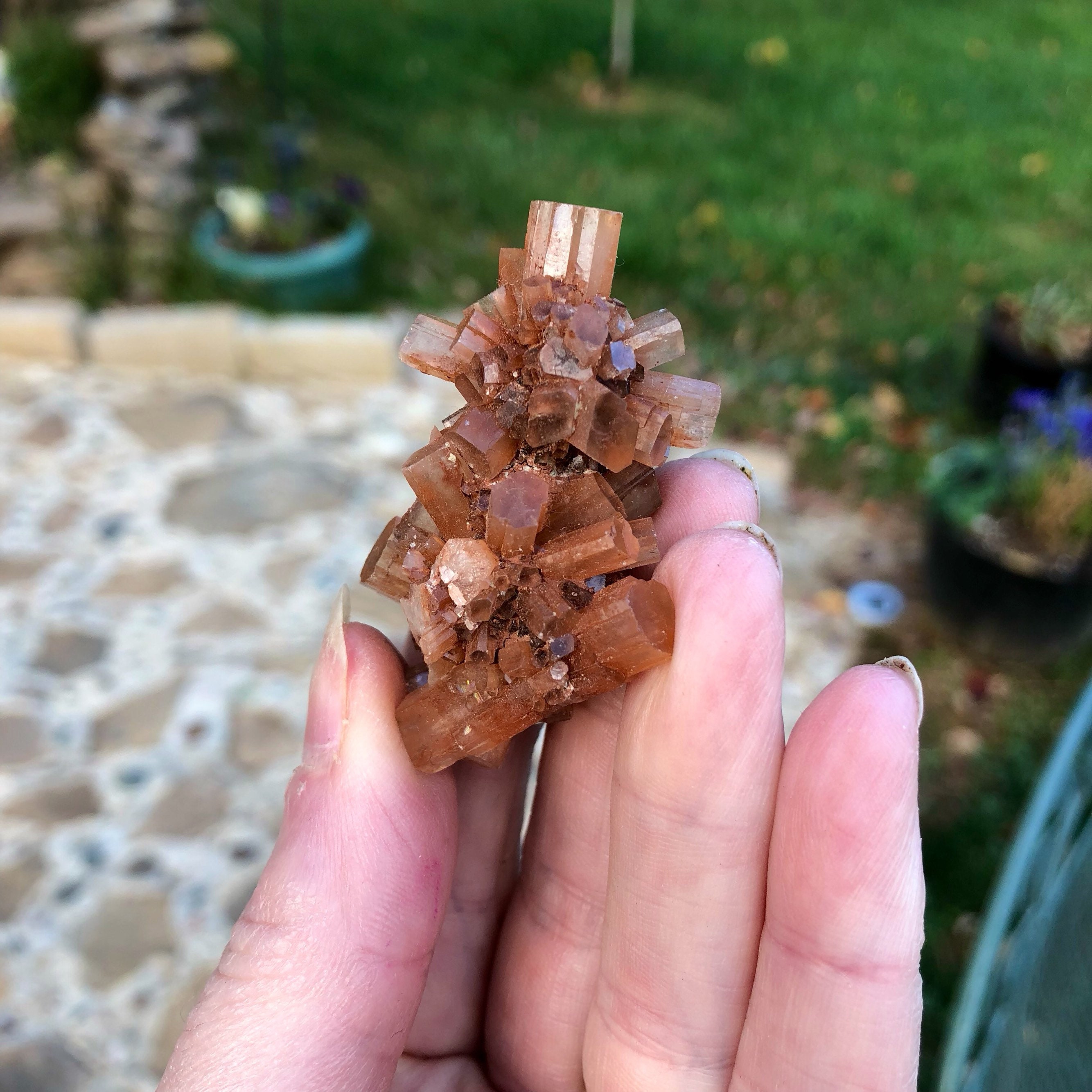 Double Aragonite Star Cluster Crystal