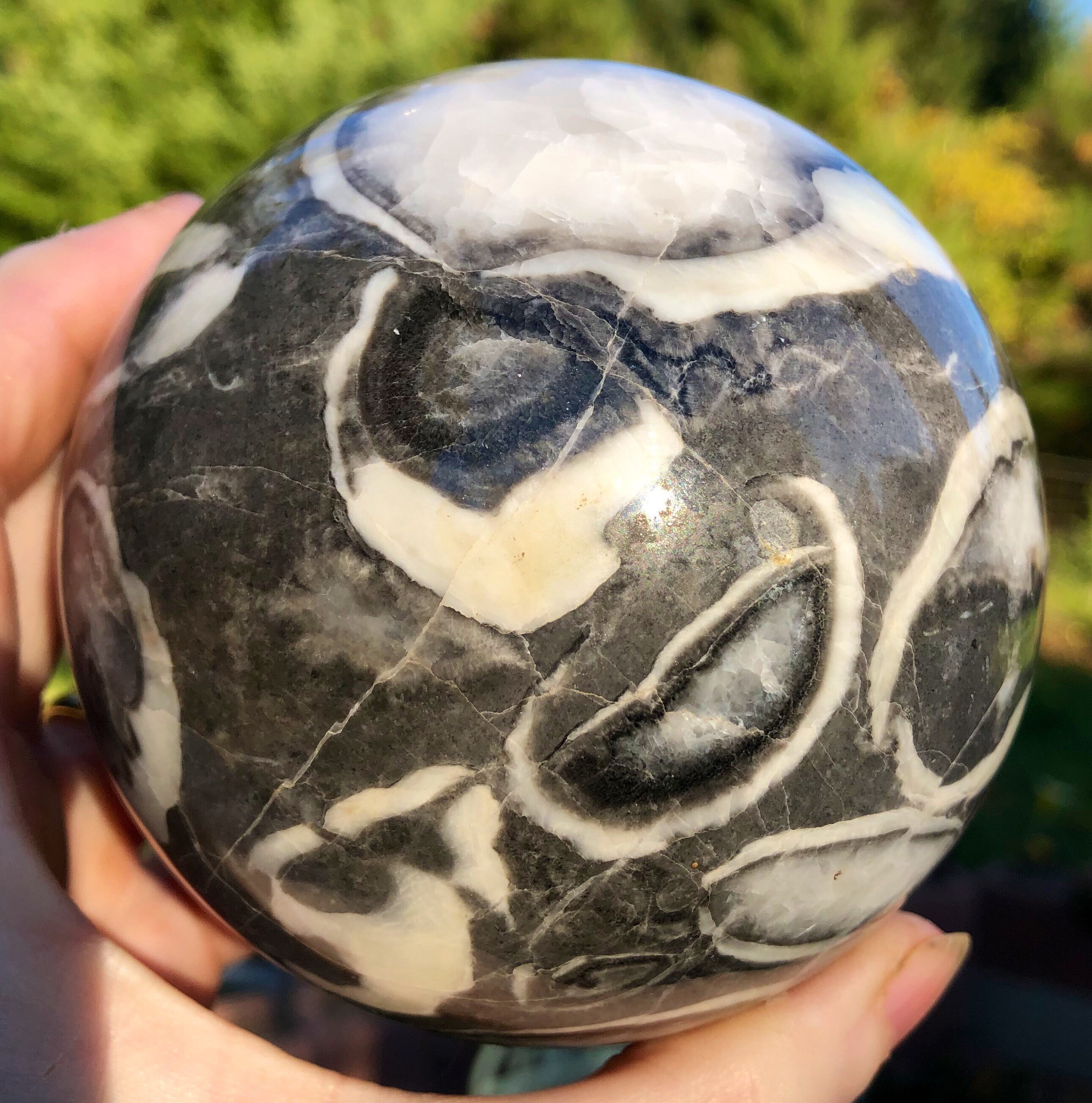 92mm Thousand Eyes Stone aka Fossil Shellstone Jasper Sphere Orb Ball