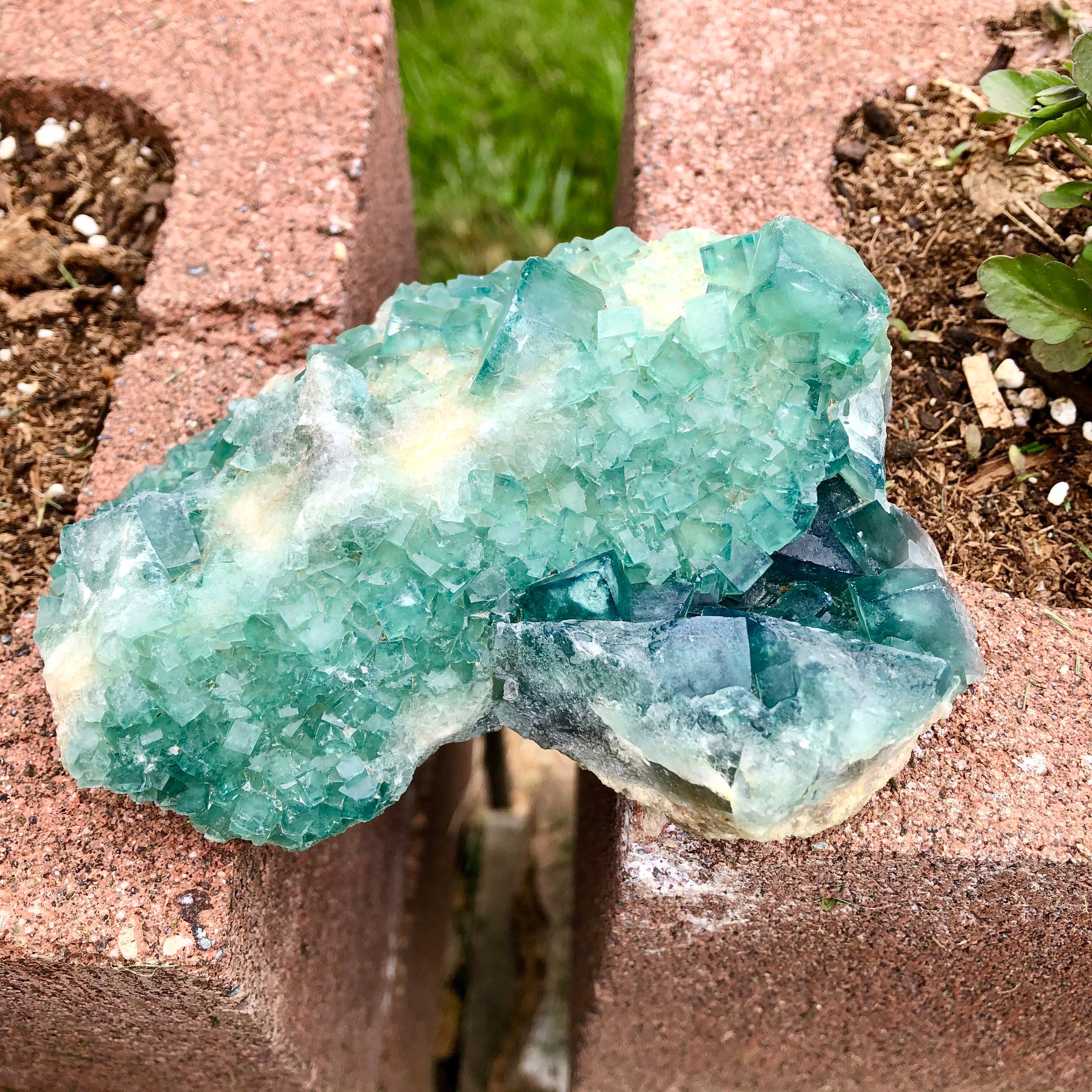442g Green Transparent Cubic Fluorite On White Quartz Crystal Cluster ...