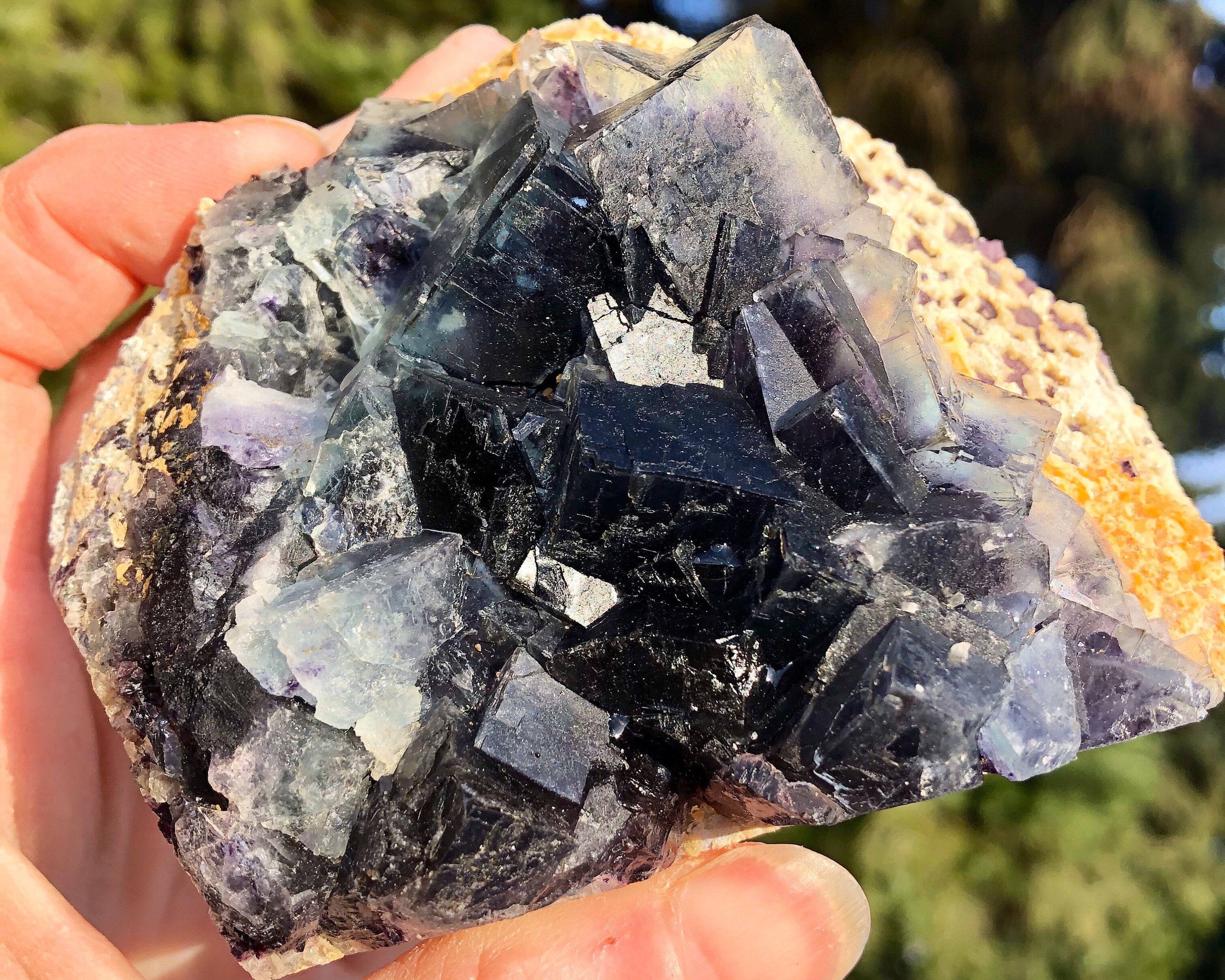 446g Purple Phantom Blue Cubic Fluorite Crystal Cluster Specimen