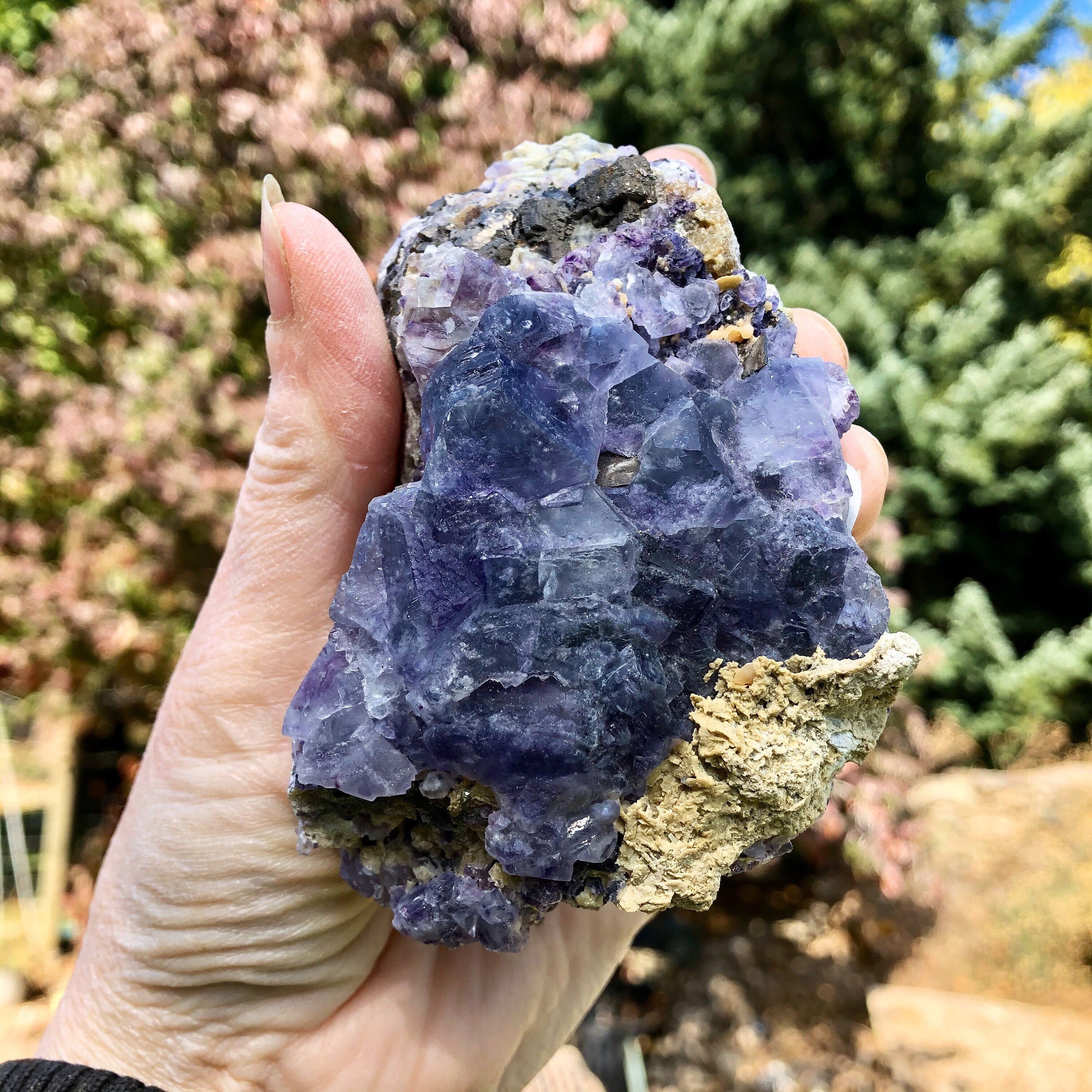410g Purple Fluorite and Pyrite on White Radiating Pyrophyllite Crystal ...