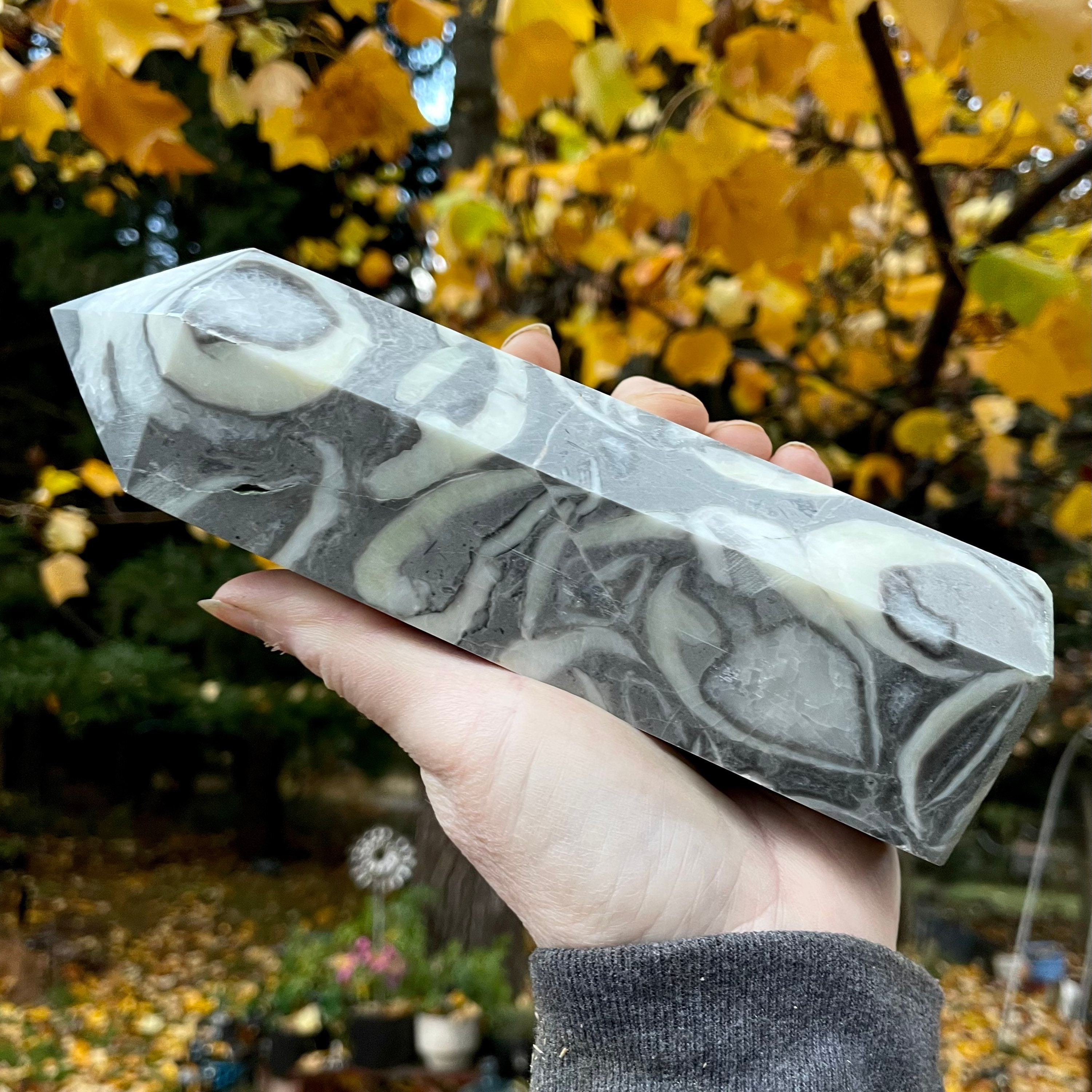2.22 lb Thousand Eyes Stone or Fossil Shellstone Jasper Obelisk Pillar ...