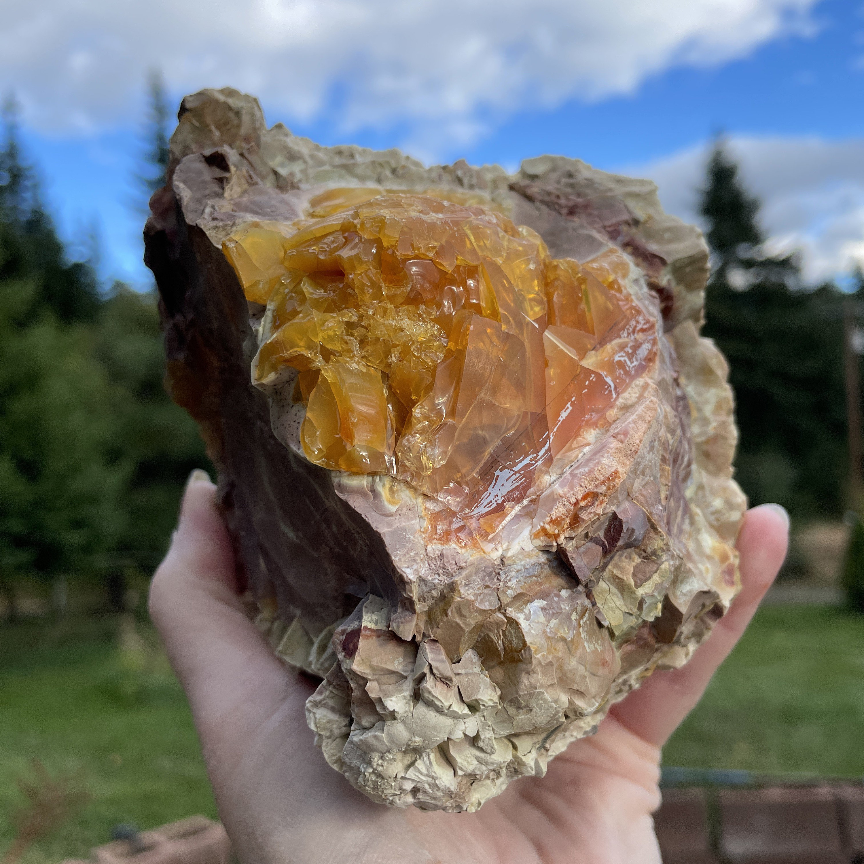3.29 lb Oregon Opal in Rhyolite Jasper Mineral Display Specimen