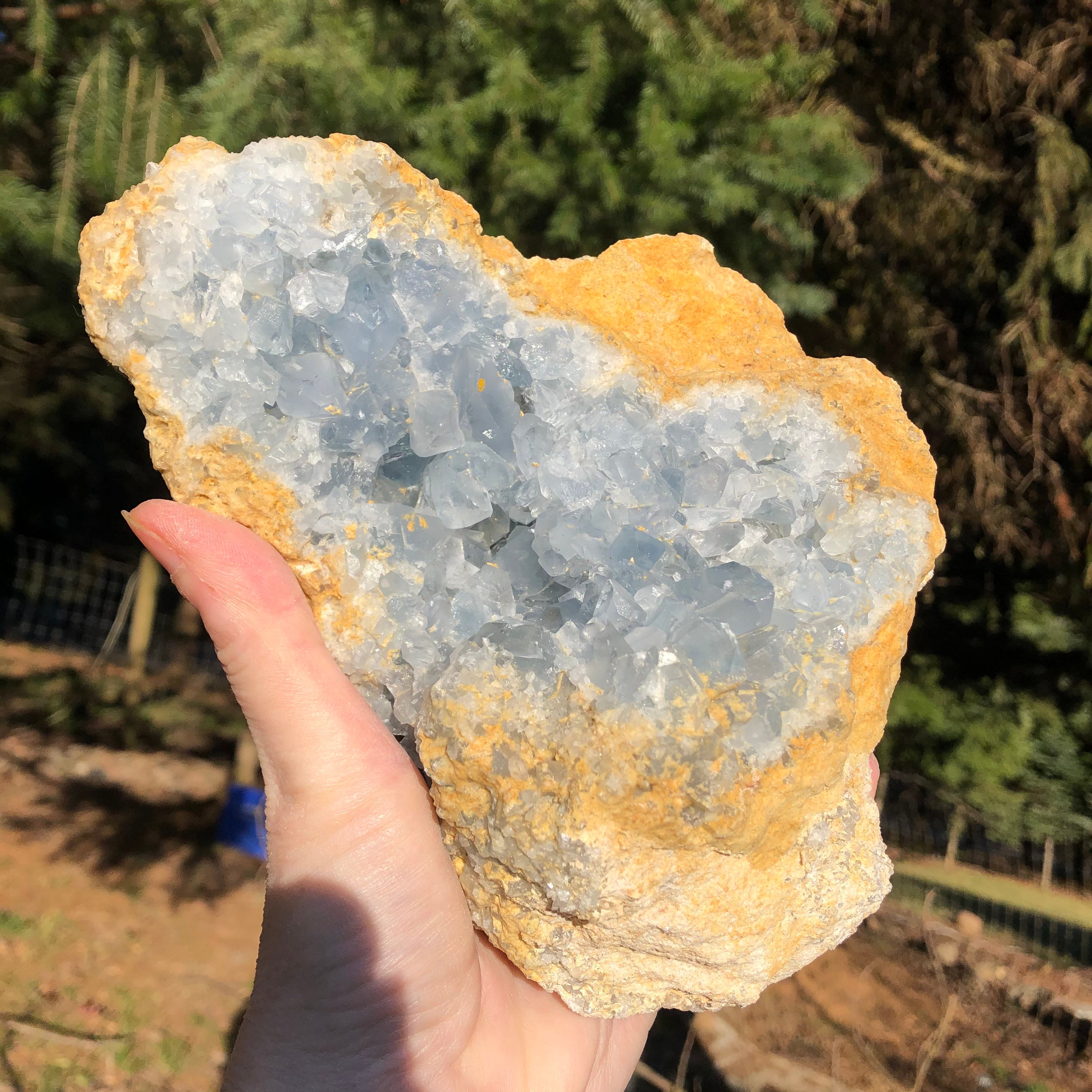 2504g Celestite Or Celestine Geode Crystal Cluster Mineral Display Specimen