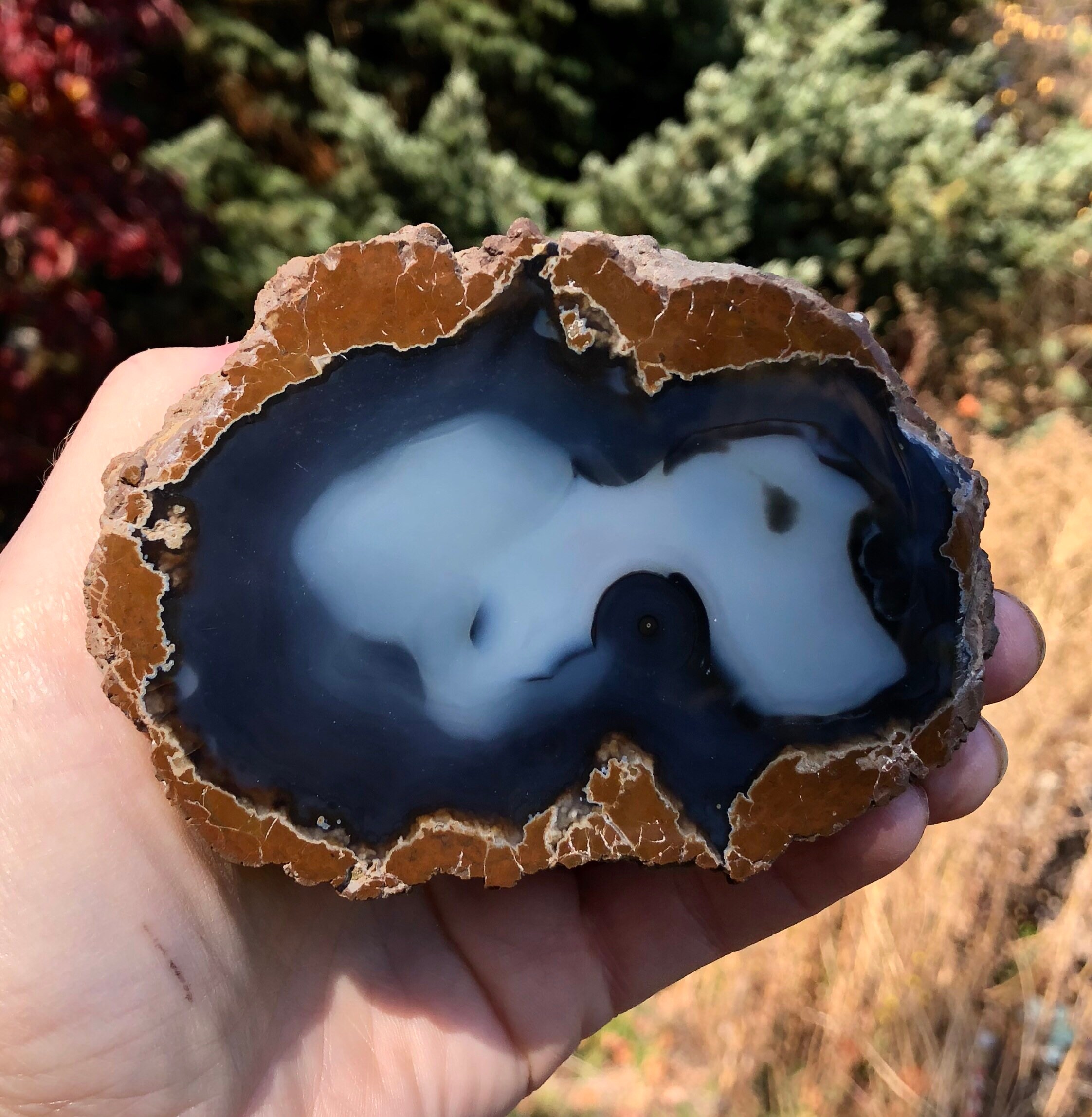 Double Blue and White Agate and Jasper Oregon Thunder Egg half