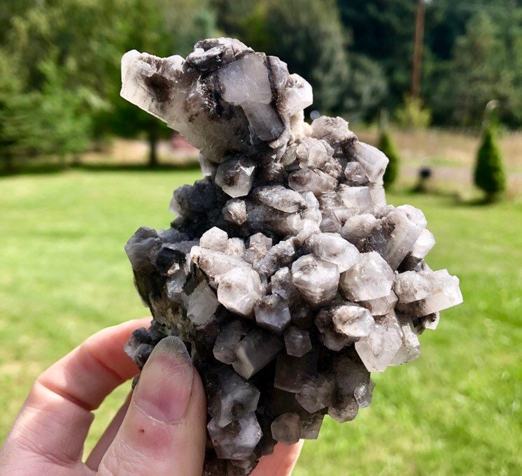 390g Black and white Columnar Hexagonal Calcite Crystal Cluster Mineral ...